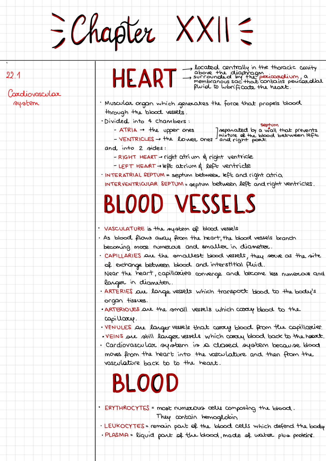 Cardiovascular system - Docsity