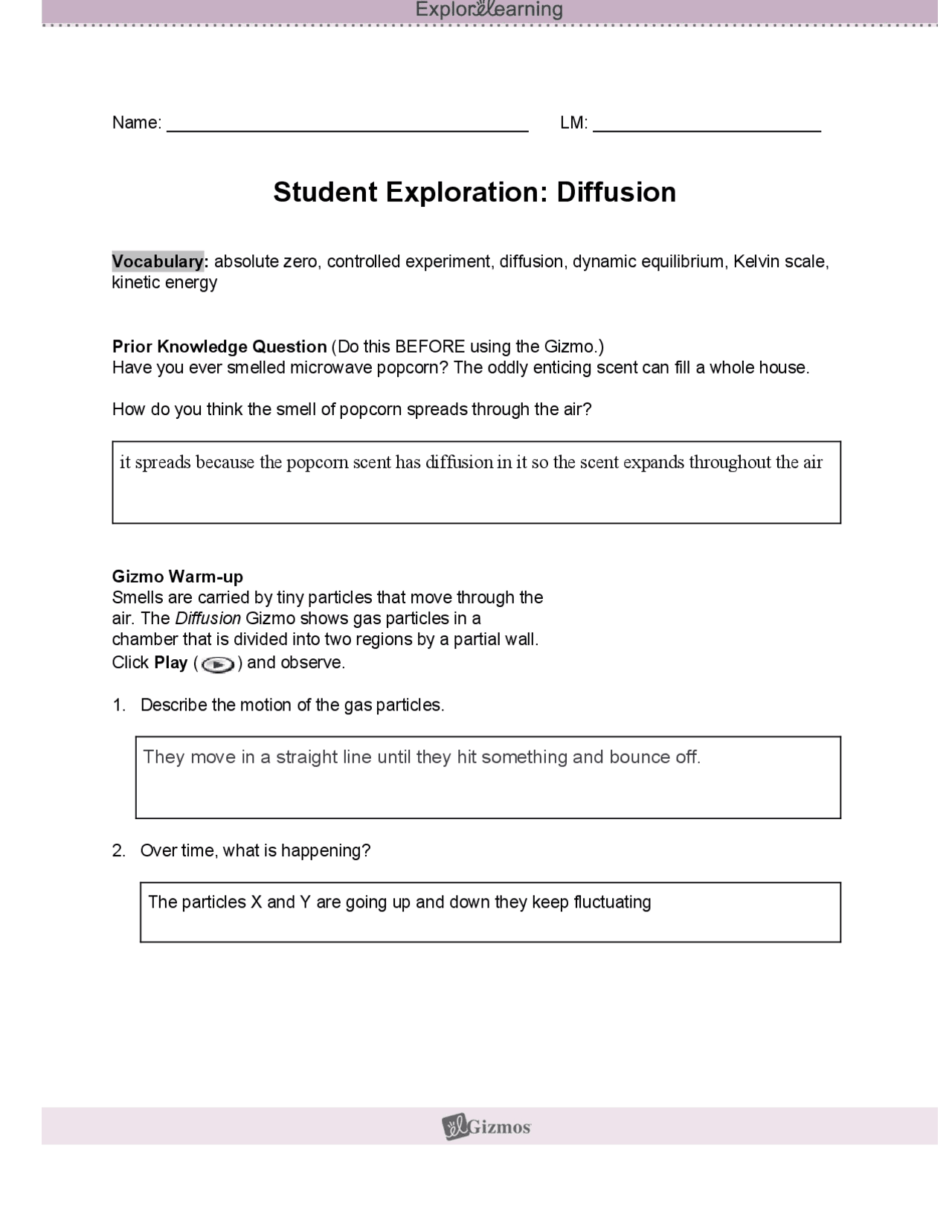 Diffusion GIZMO Exploration Guide - Docsity