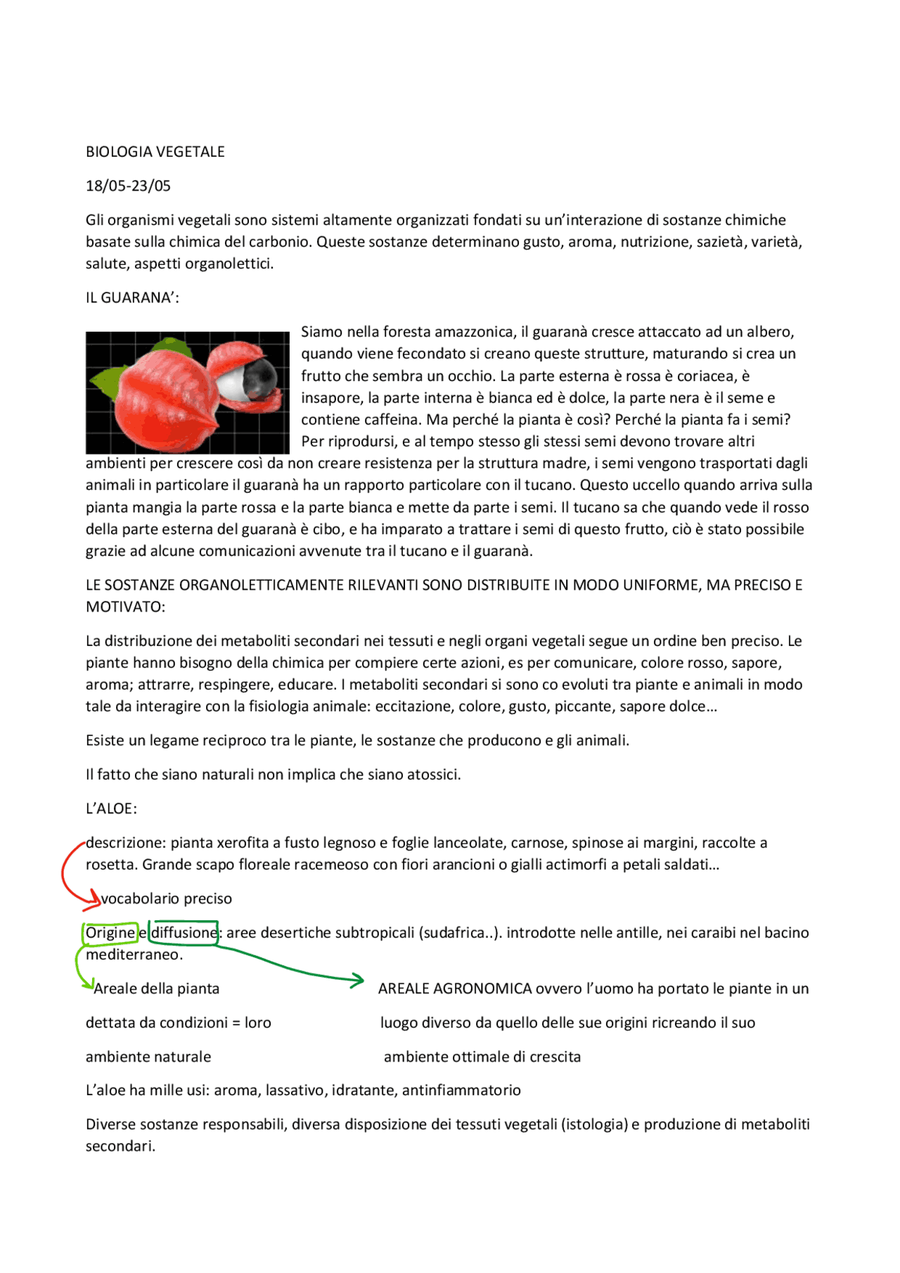 Riassunto Biologia Vegetale Docsity