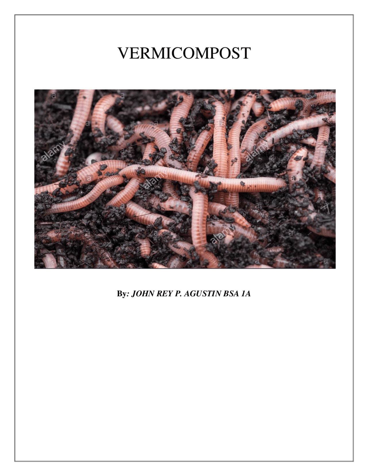 Essay about how to make Vermicompost, and it's Important to Agriculture ...