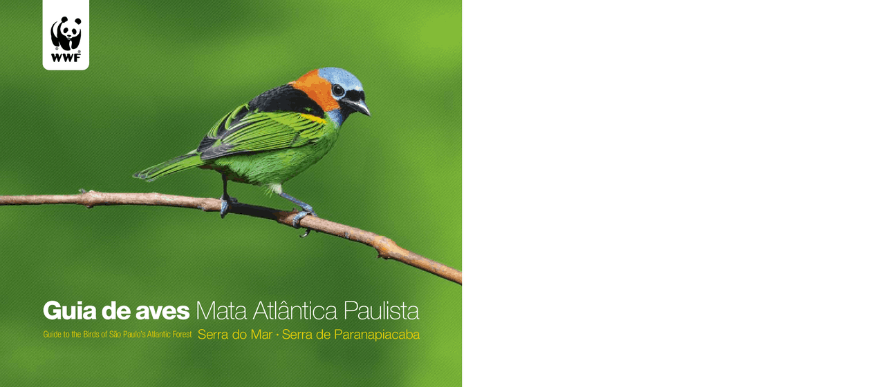 AVES DA MATA ATLANTICA | Resúmenes Zoología | Docsity