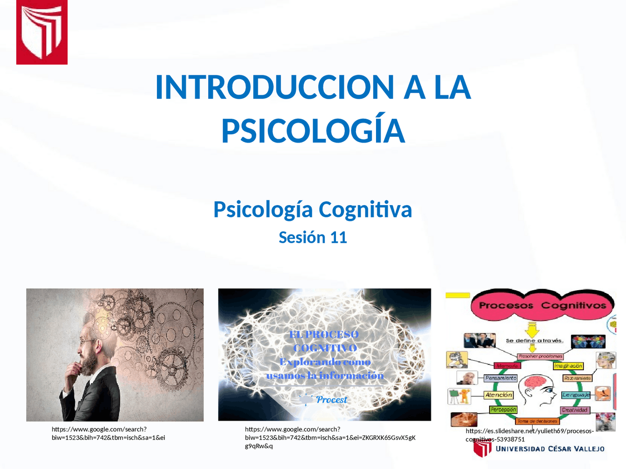 Introducción a la Psicología - Docsity