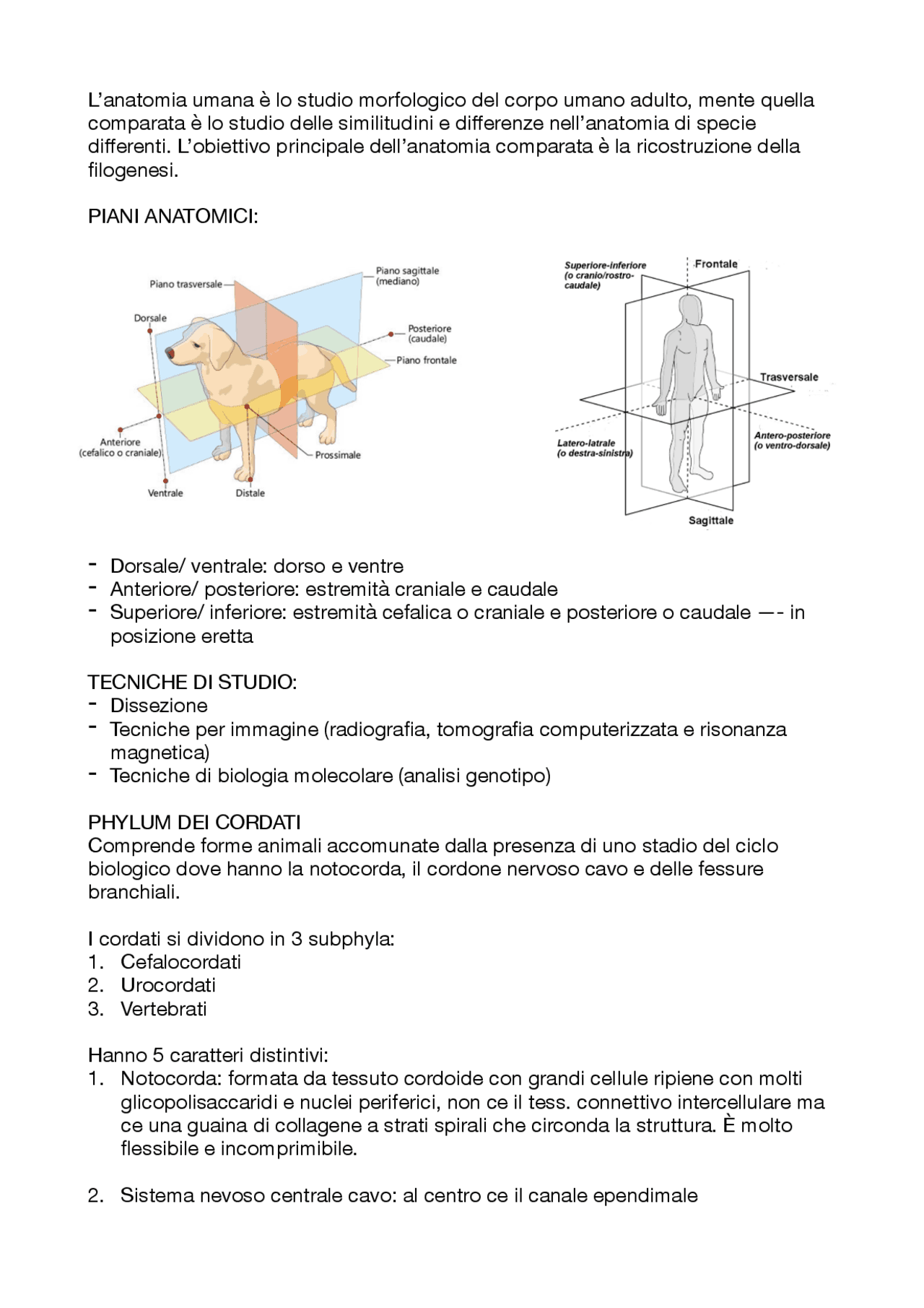 Nozioni base di anatomia comparata rispetto ai cambiamenti evolutivi ...