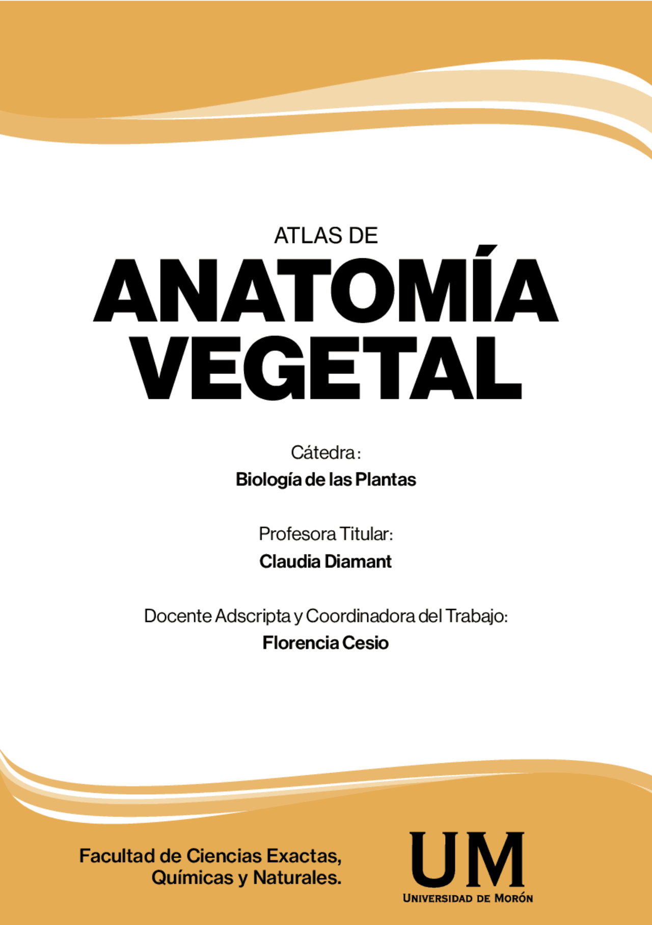 Atlas de anatomía vegetal, resumen y datos importantes - Docsity