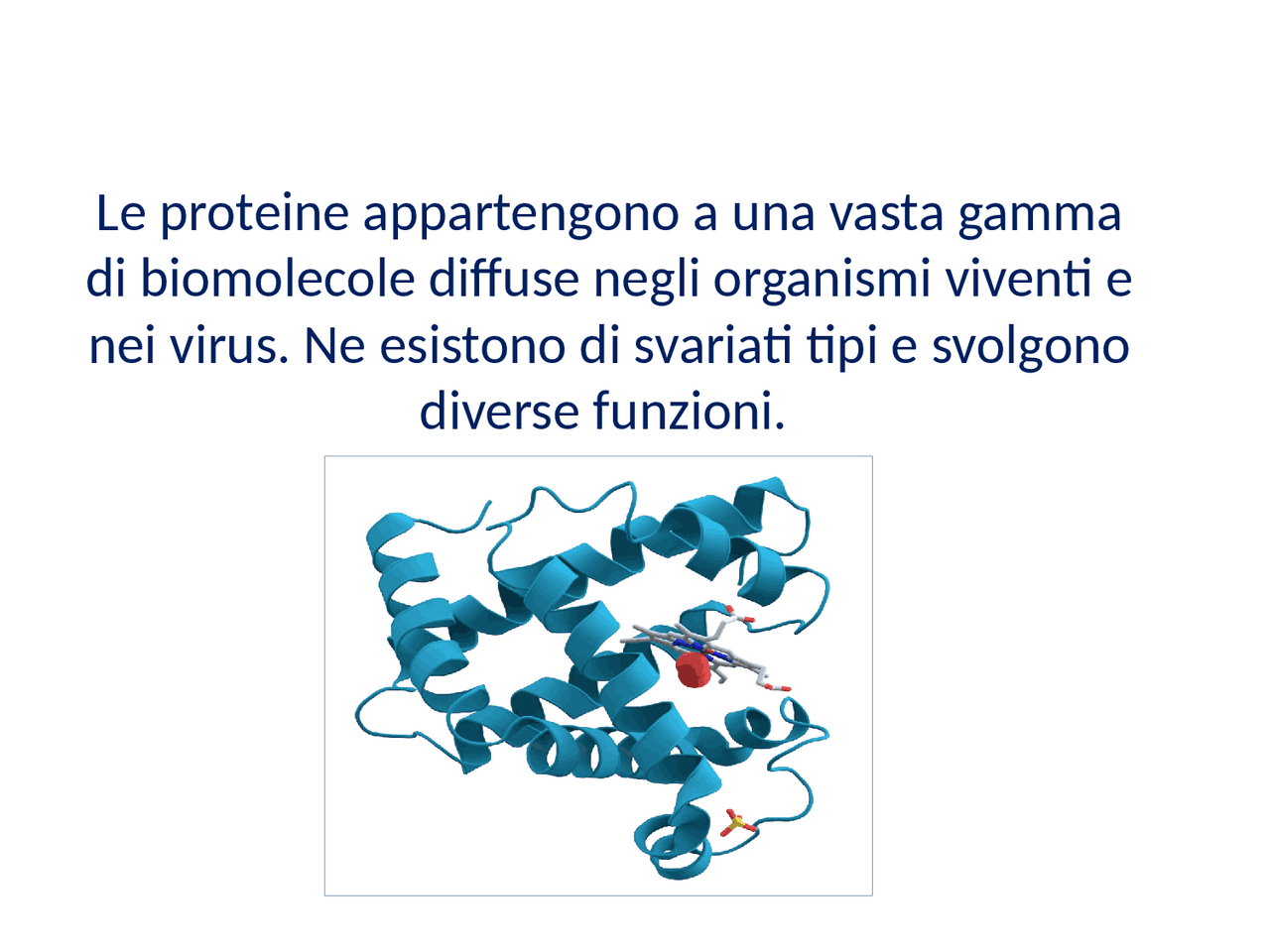 Schema Riassuntivo Su Proteine Amminoacidi Enzimi Docsity