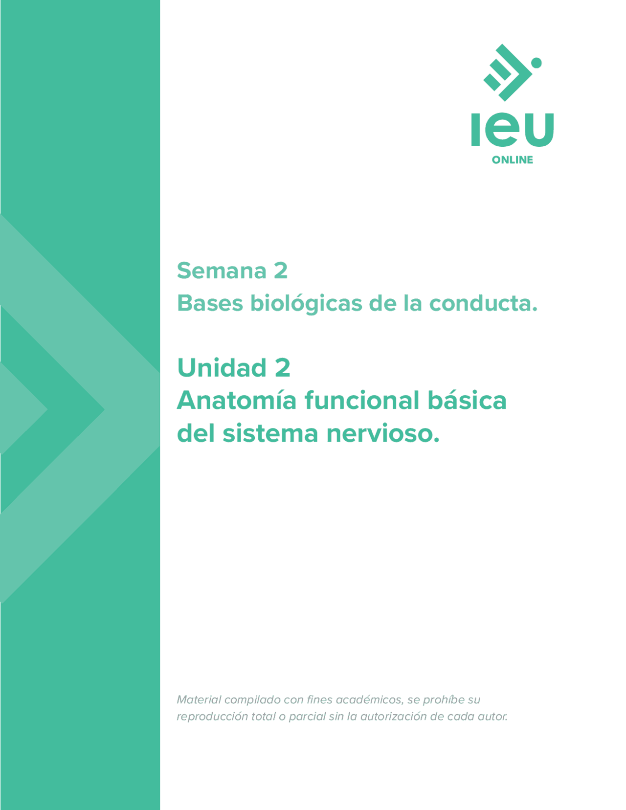 Sistema Nerviosos Central Docsity
