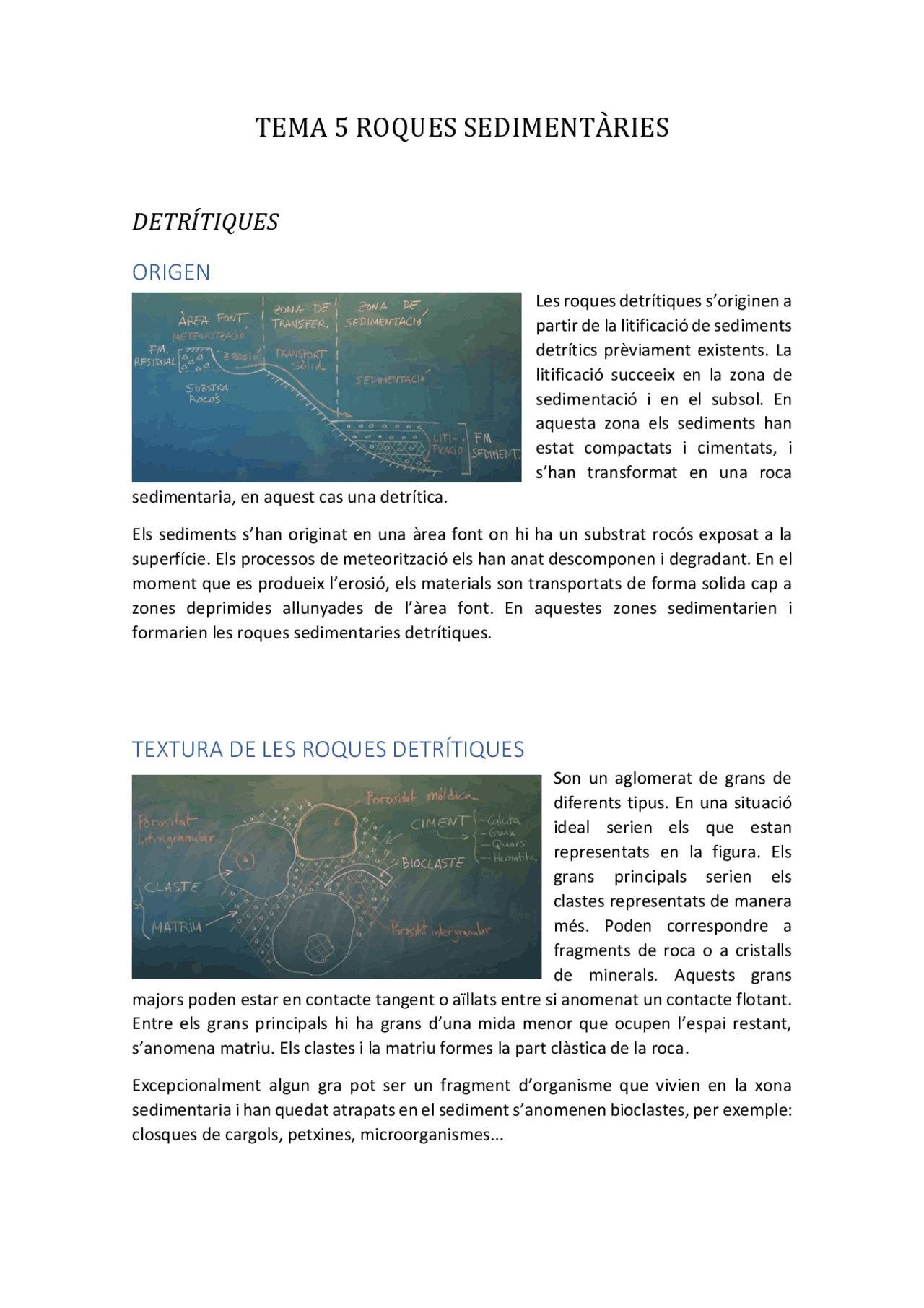 Rocas Sedimentarias Docsity