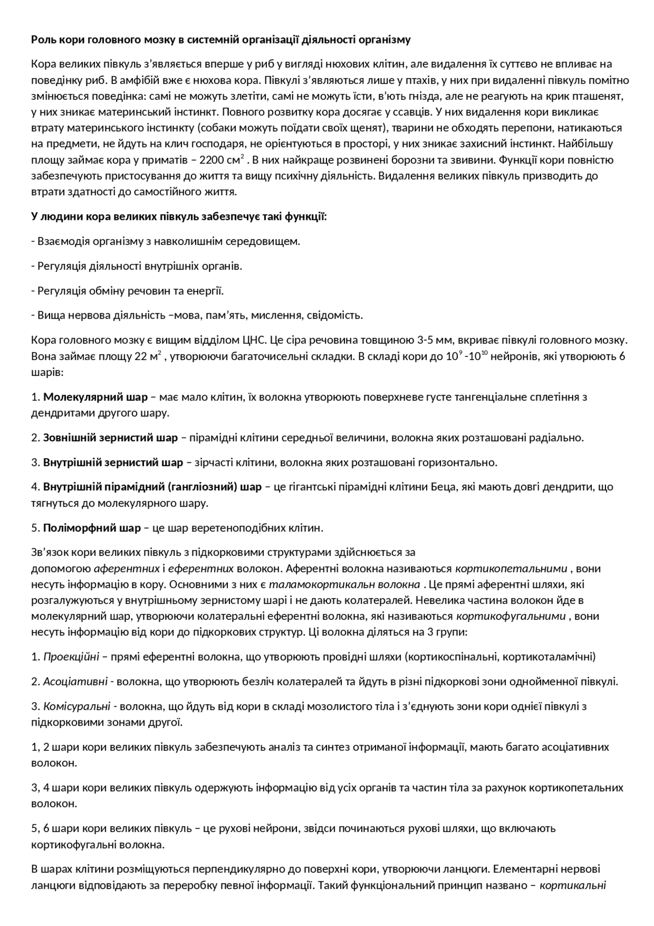 Кора головного мозку Docsity
