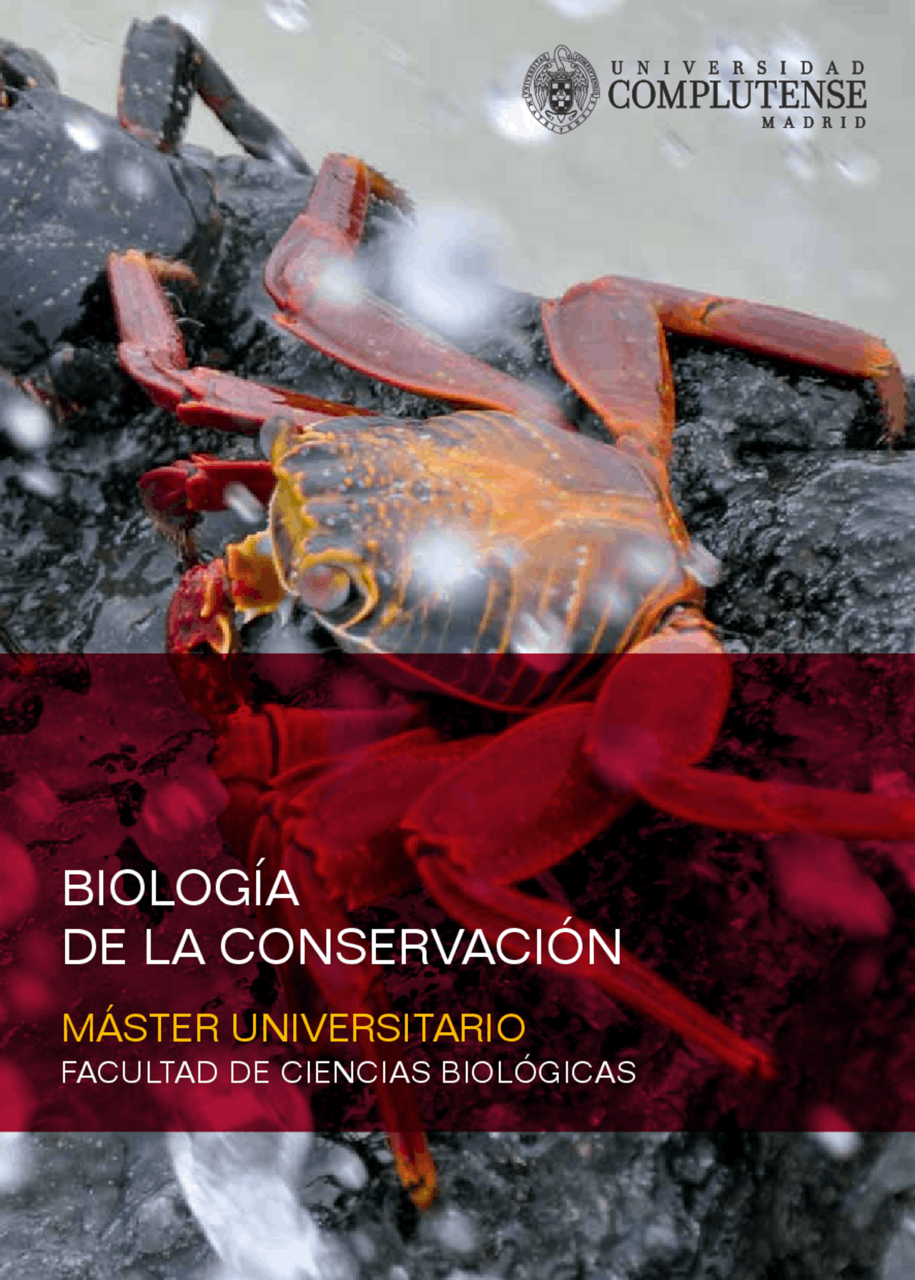 Apuntes Biologia O Eso Creo Apuntes De Biología Docsity