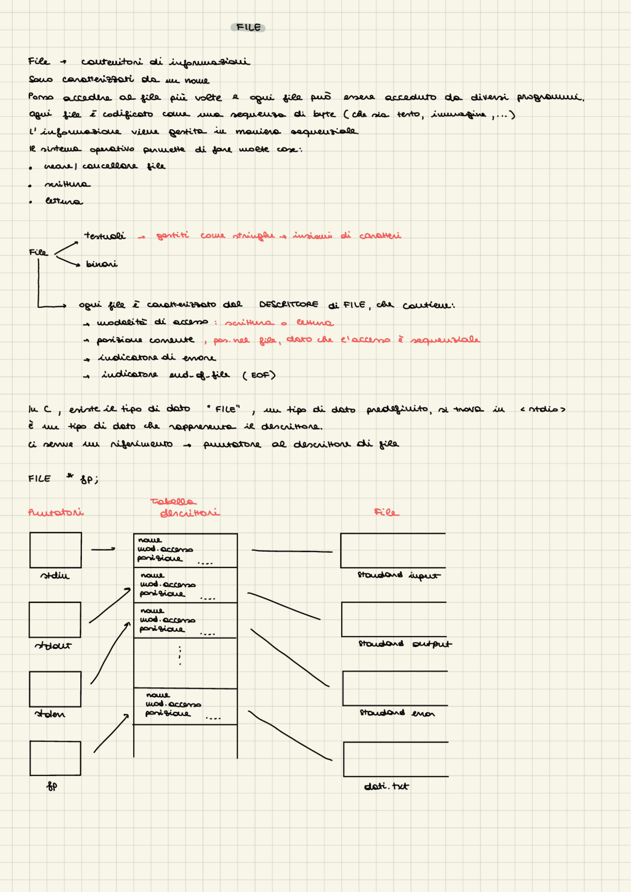 Gestione Di File In C Docsity