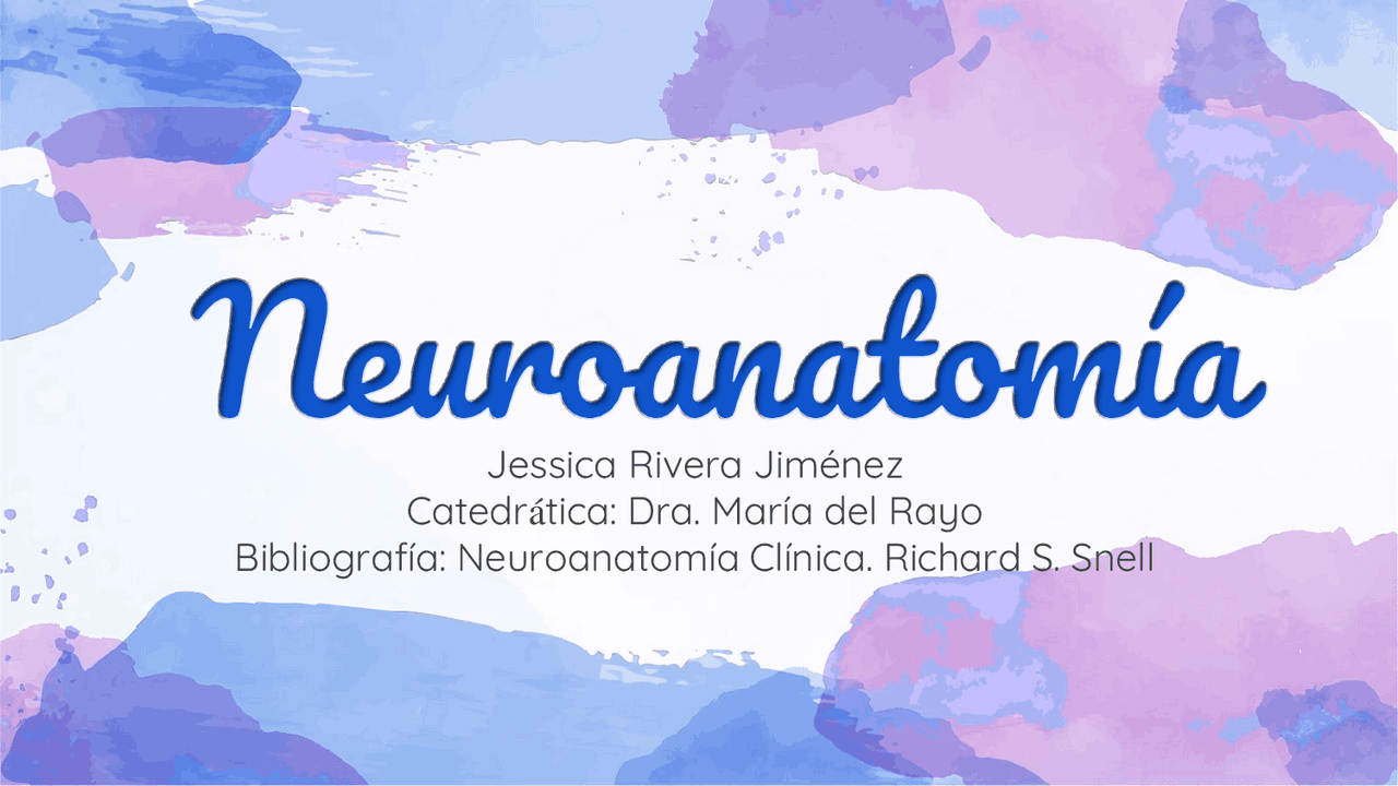 Conceptos Básicos De Neuroanatomía Docsity