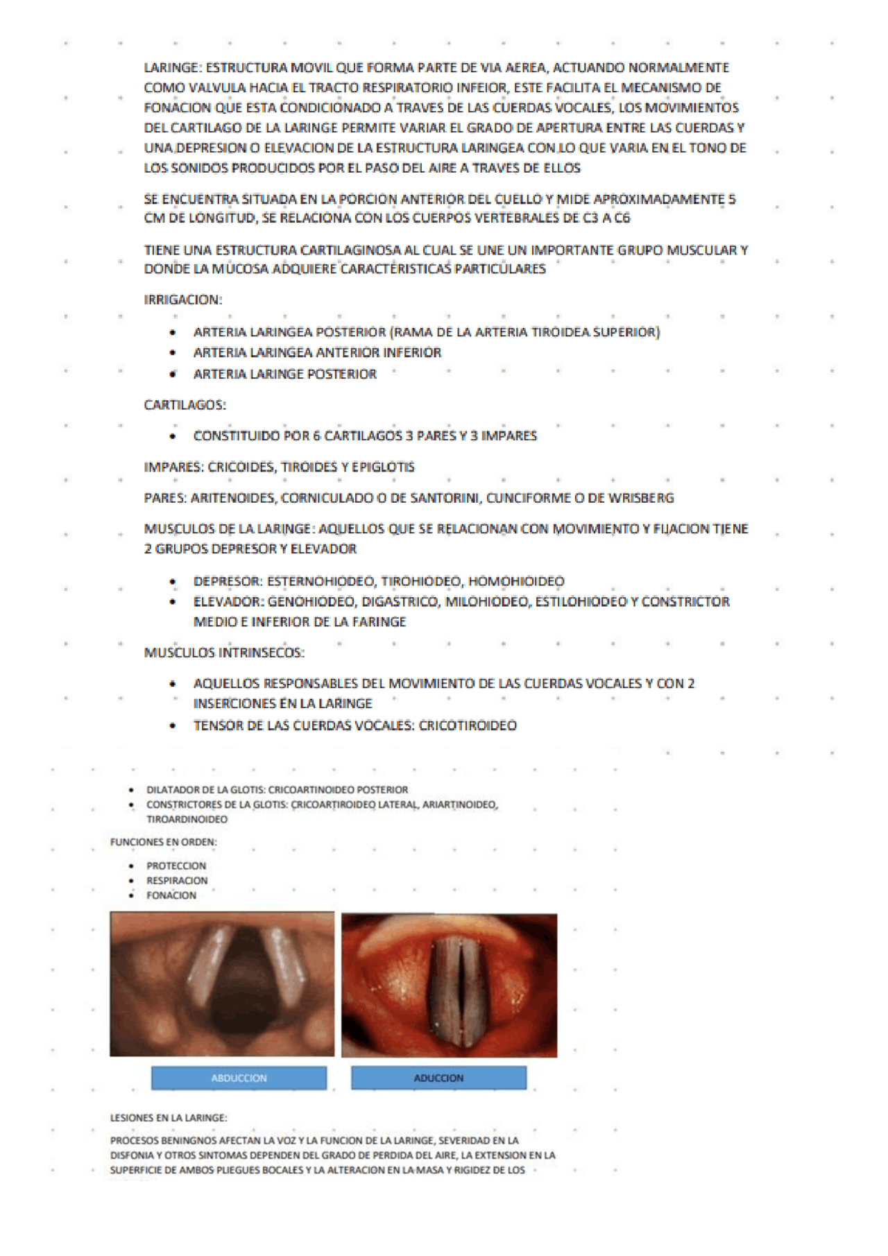 Aparatos respiratorios - Docsity