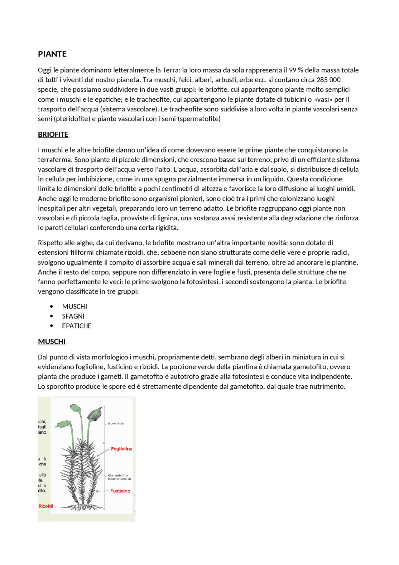 Schema Riassuntivo Sulle Piante Docsity