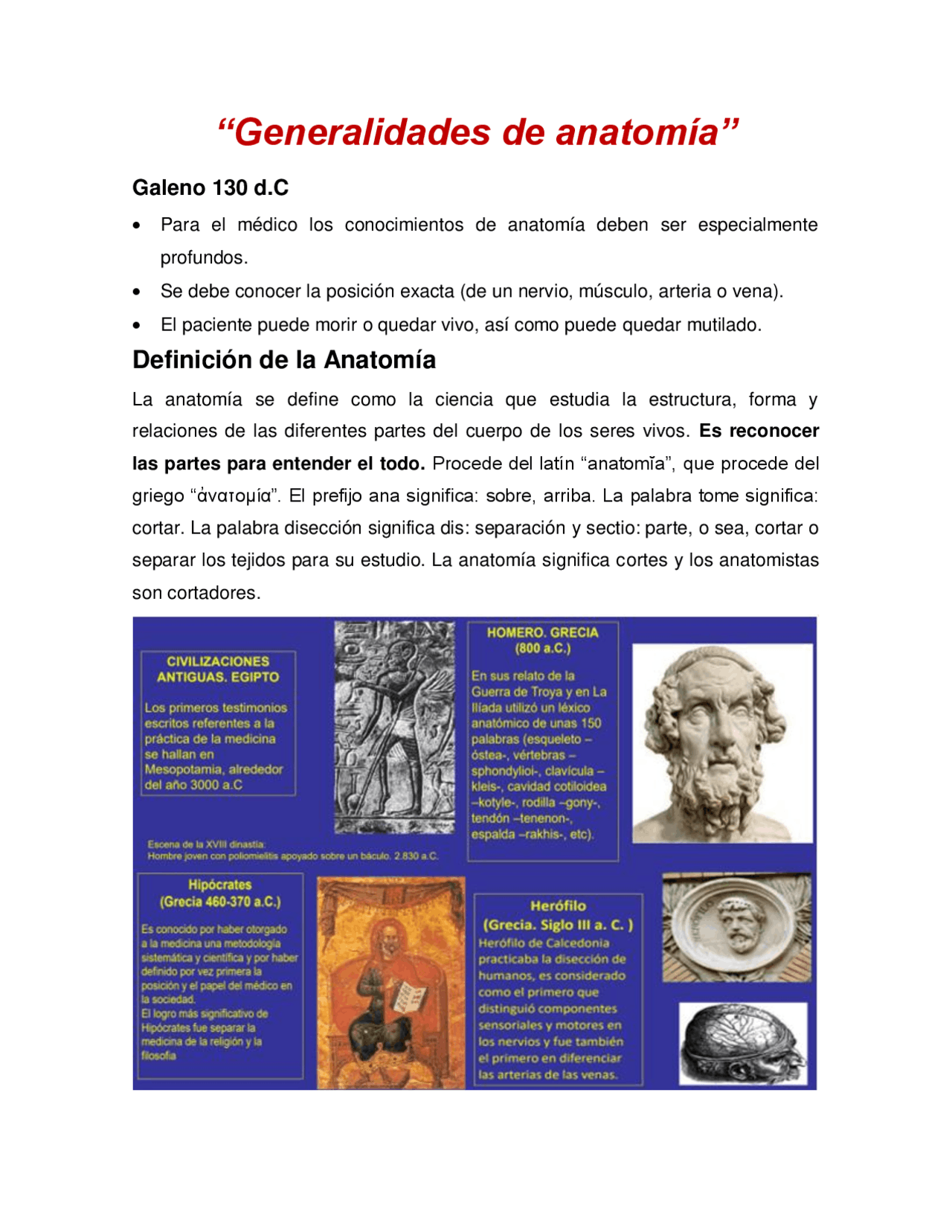 Generalidades de Anatomía Humana - Docsity