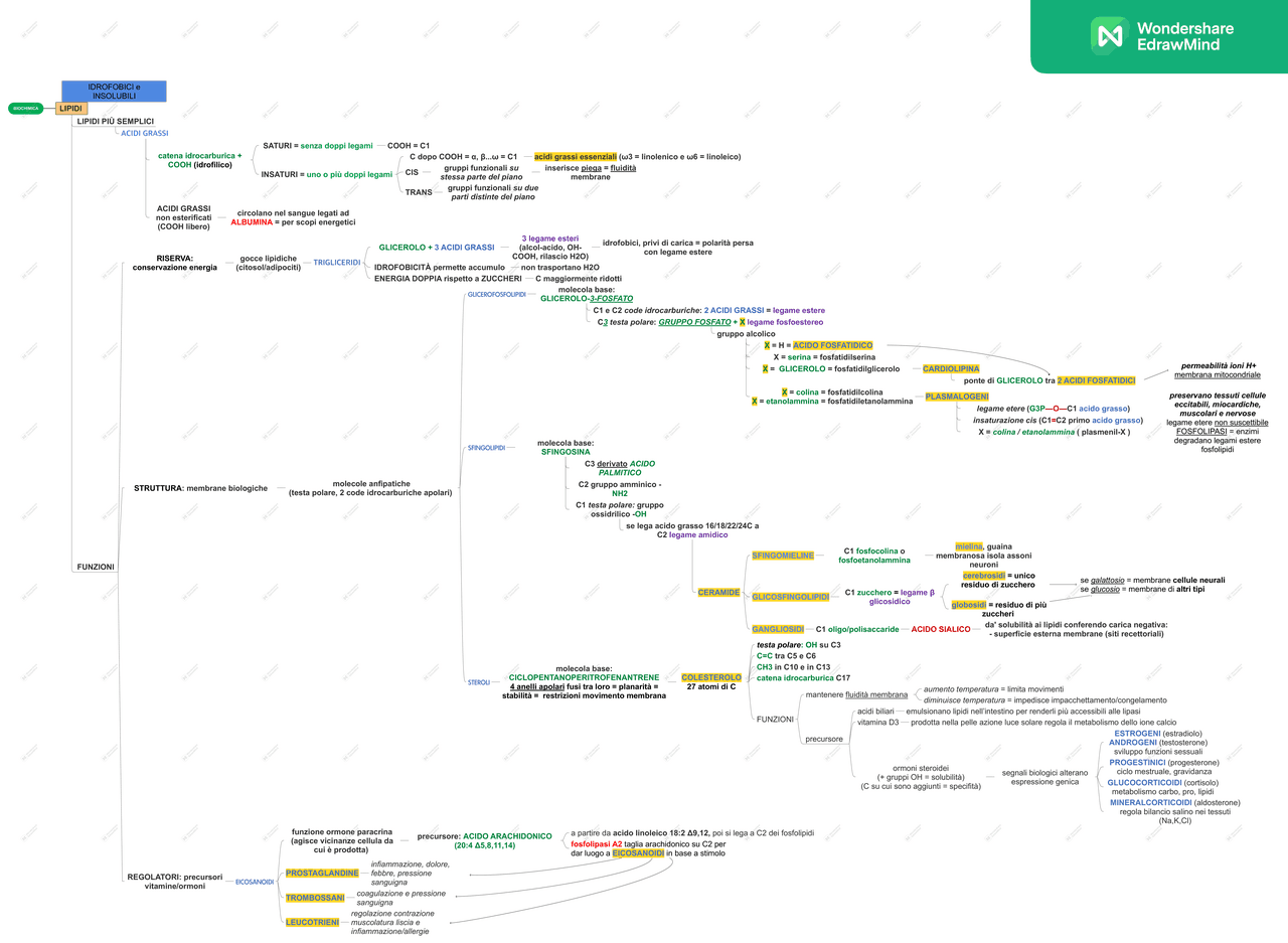 Composizione Lipidi E Varie Funzioni Docsity