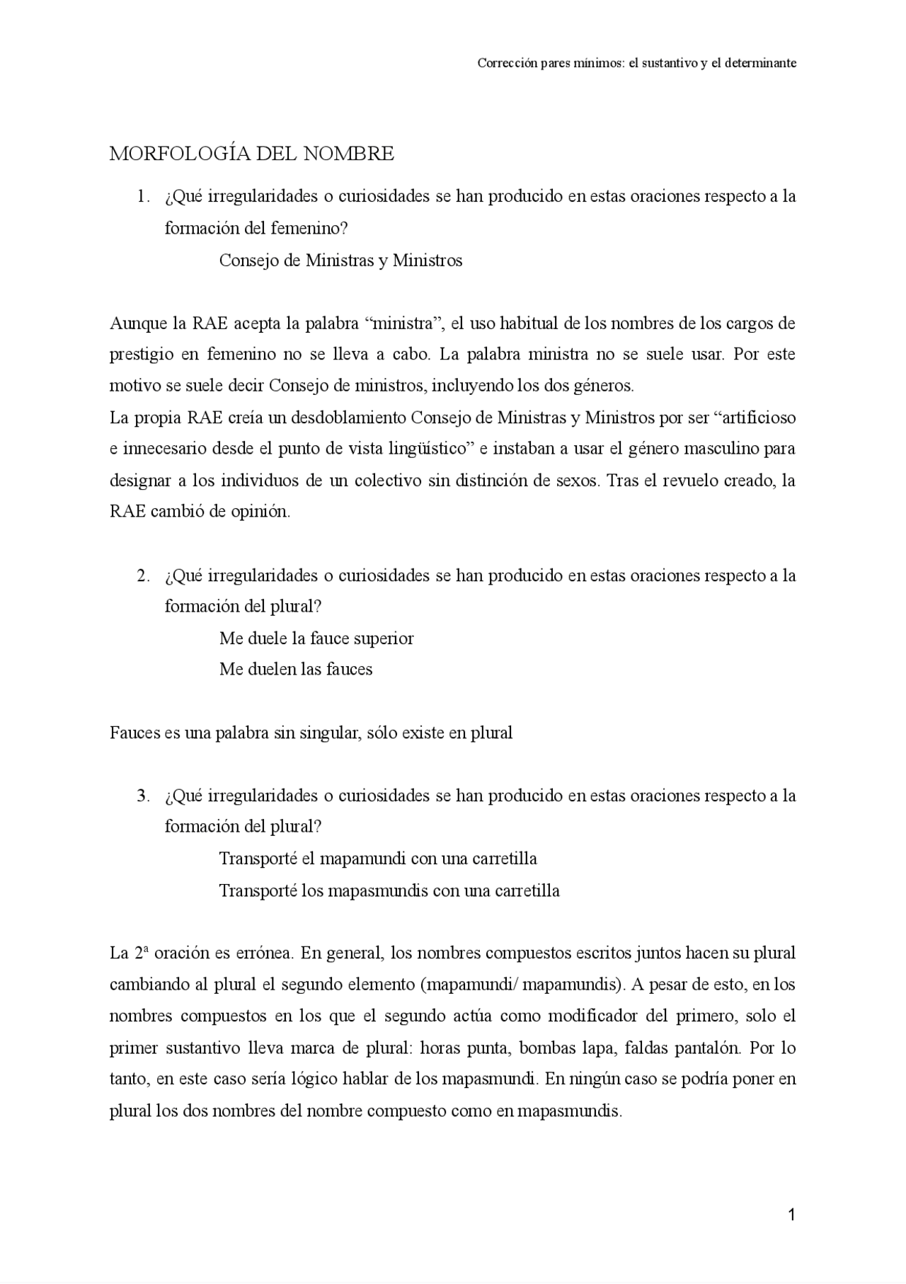 Corrección Pares Mínimos El Sustantivo Y El Determinante Exámenes De