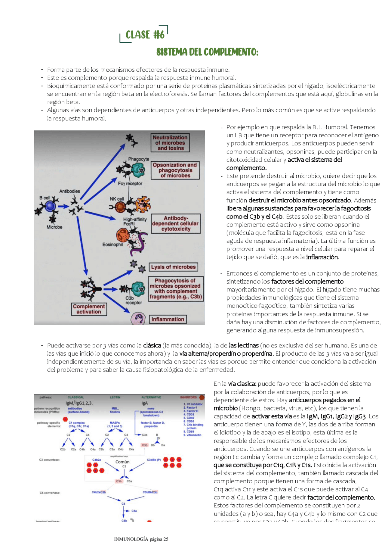 Sistema Del Complemento Docsity
