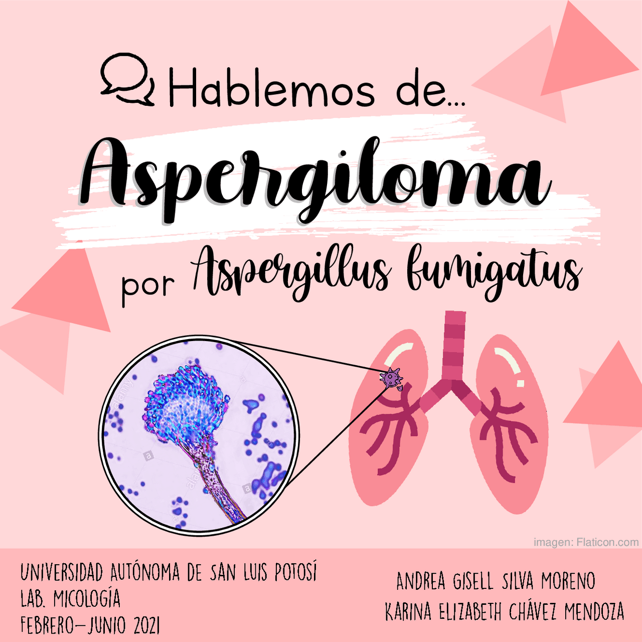 Infografía aspergilosis - Docsity
