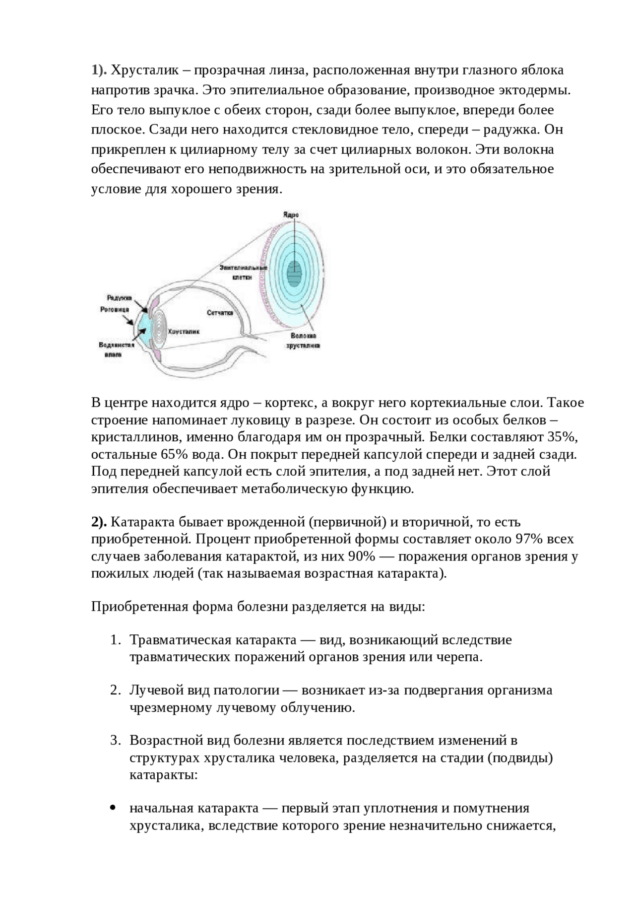 Хрусталик человеческого глаза Docsity