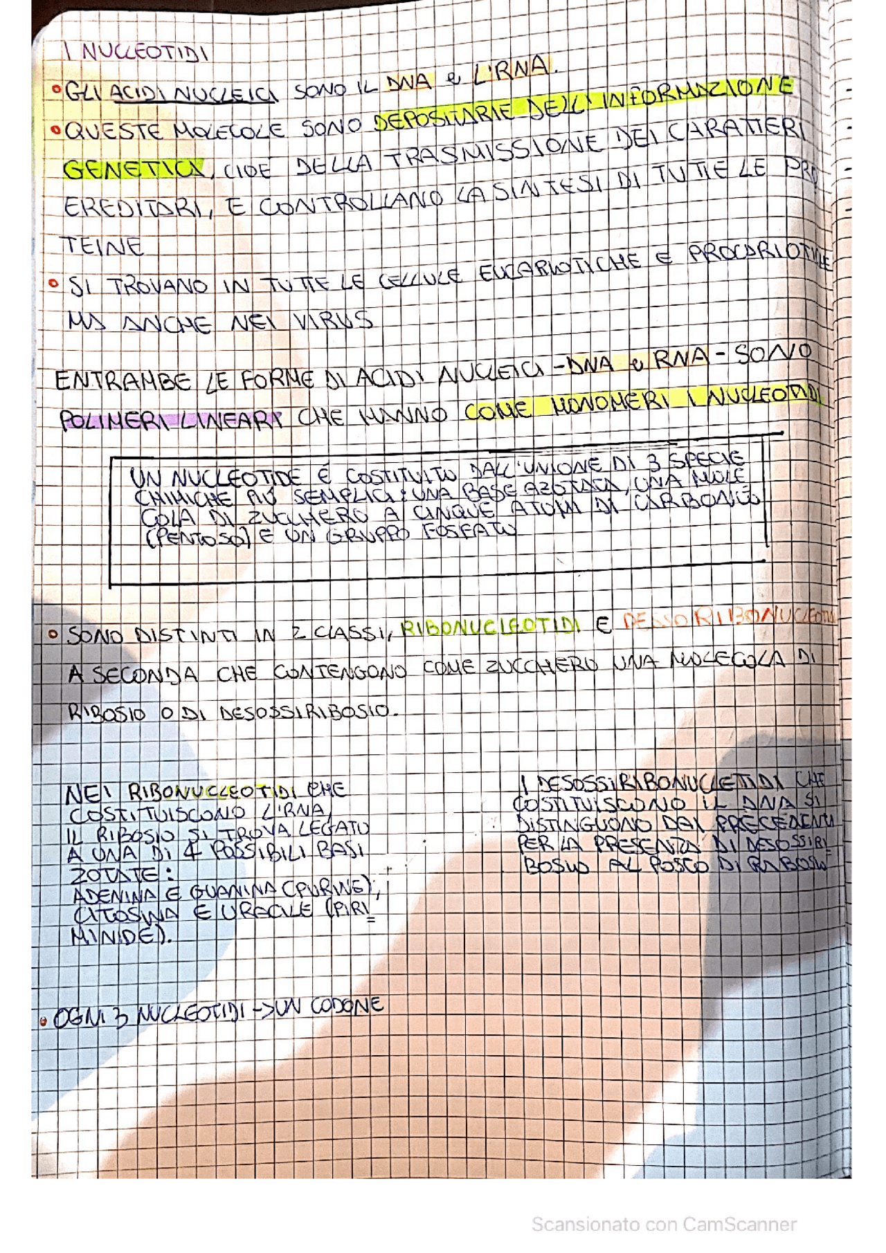 I NUCLEOTIDI, caratteristiche e proprietá - Docsity