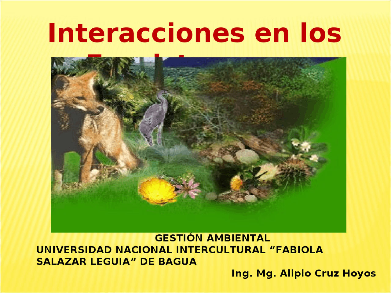 Interacciones en los Ecosistemas - Docsity