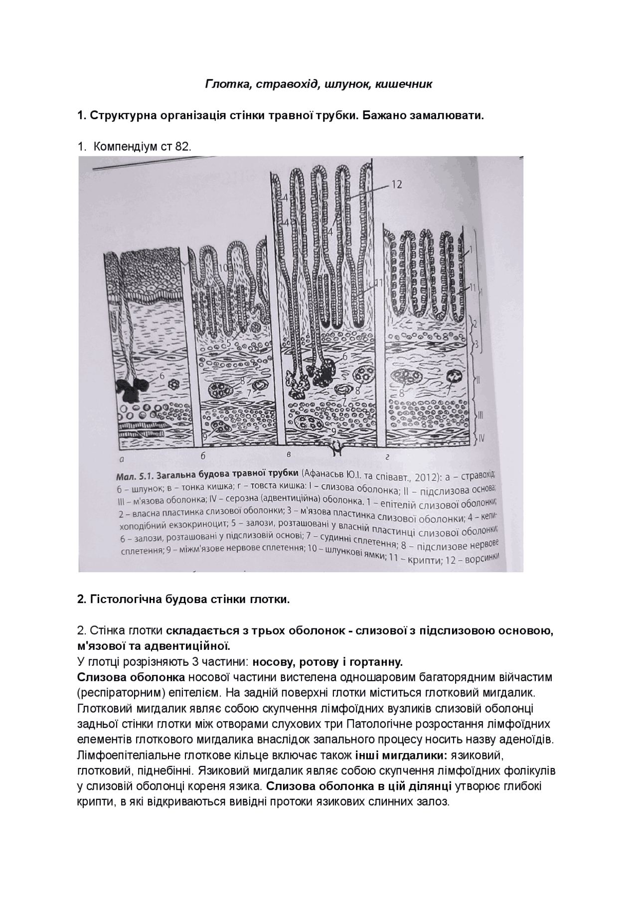 Экзамен по гистологии цитология эмбриология Docsity