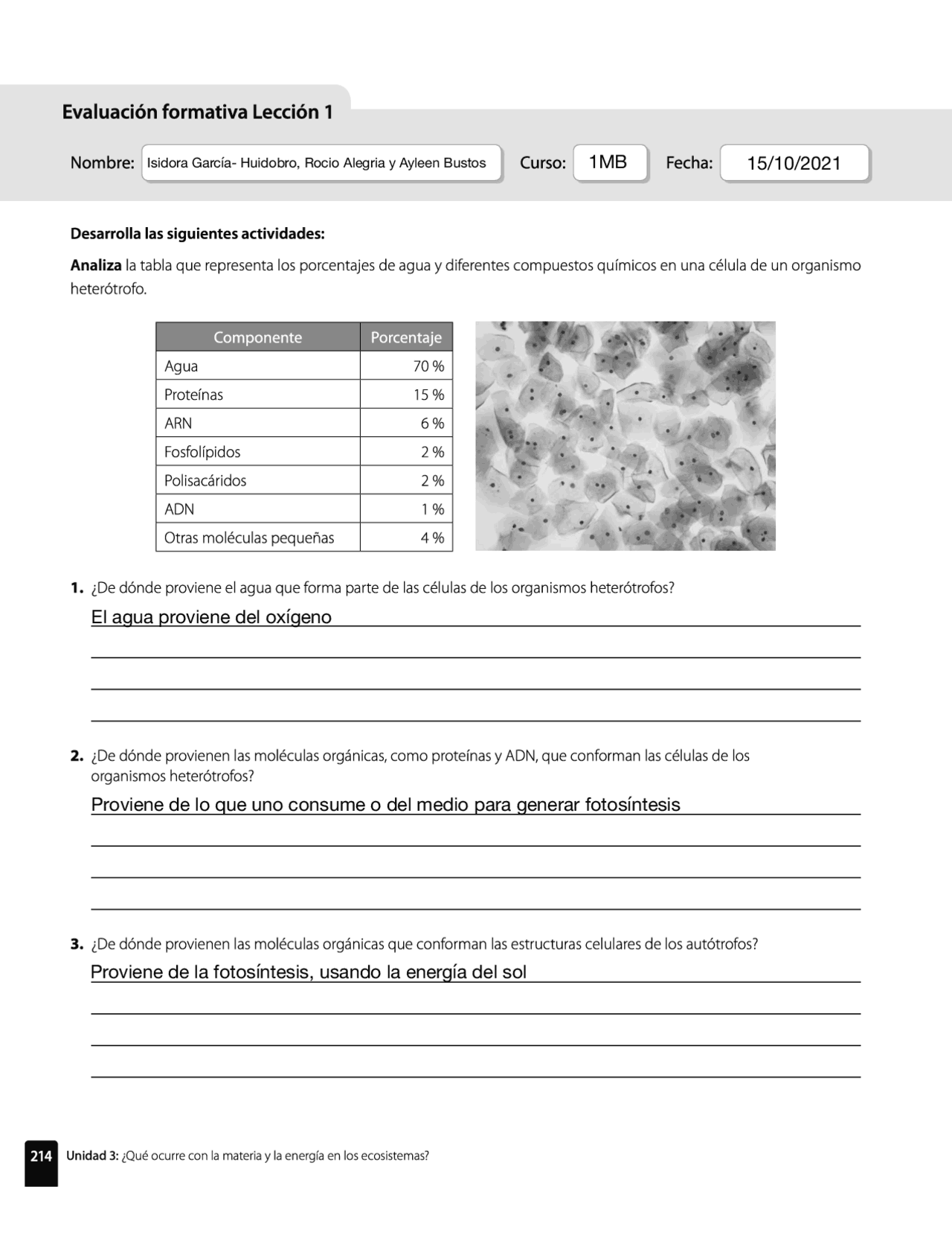 Células del organismo - Docsity