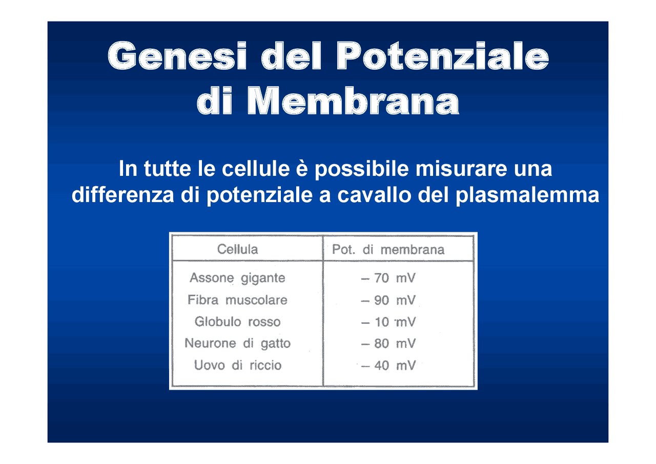 Potenziale Di Membrana Dispense Di Fisiologia Docsity