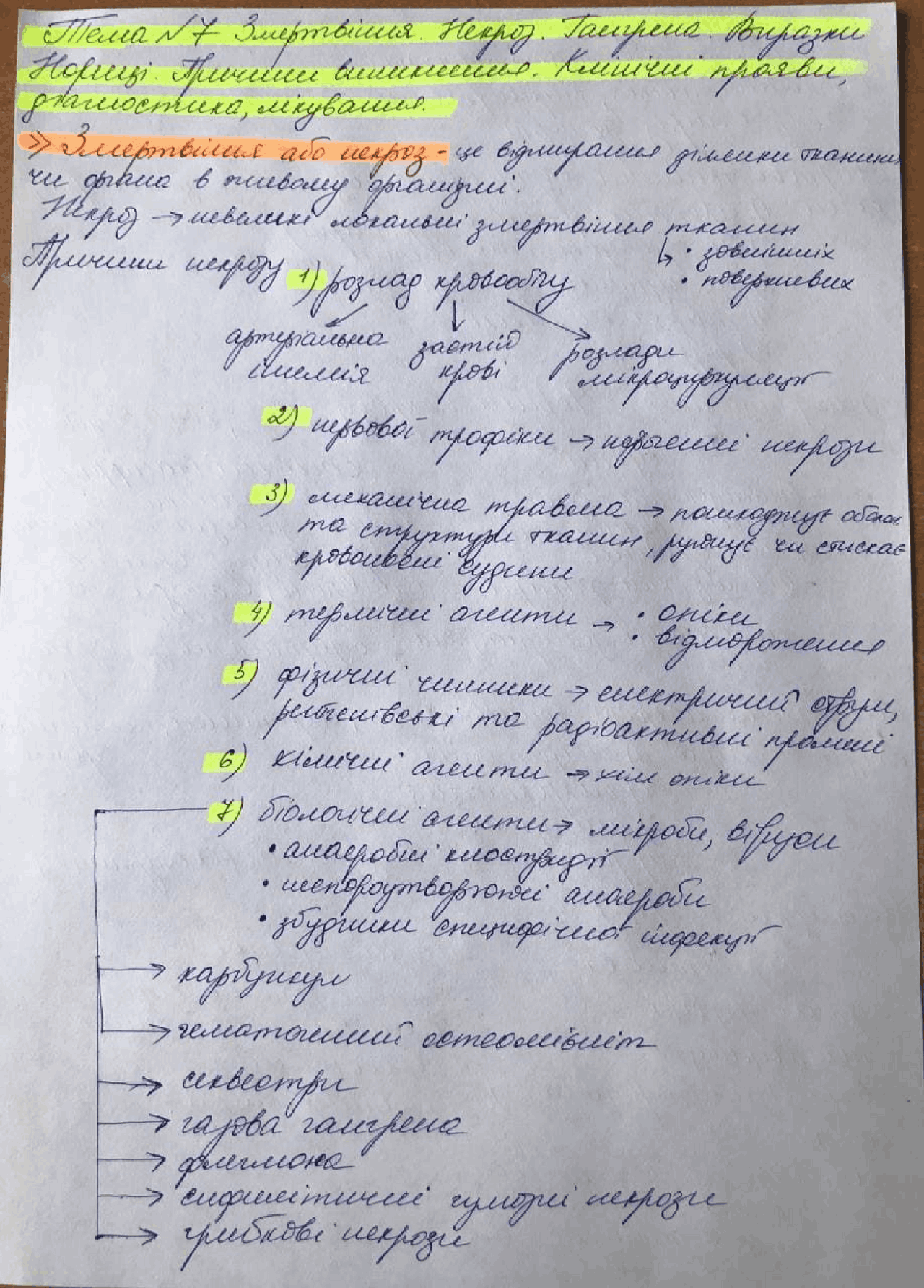 Хірургія виразки нориці Docsity