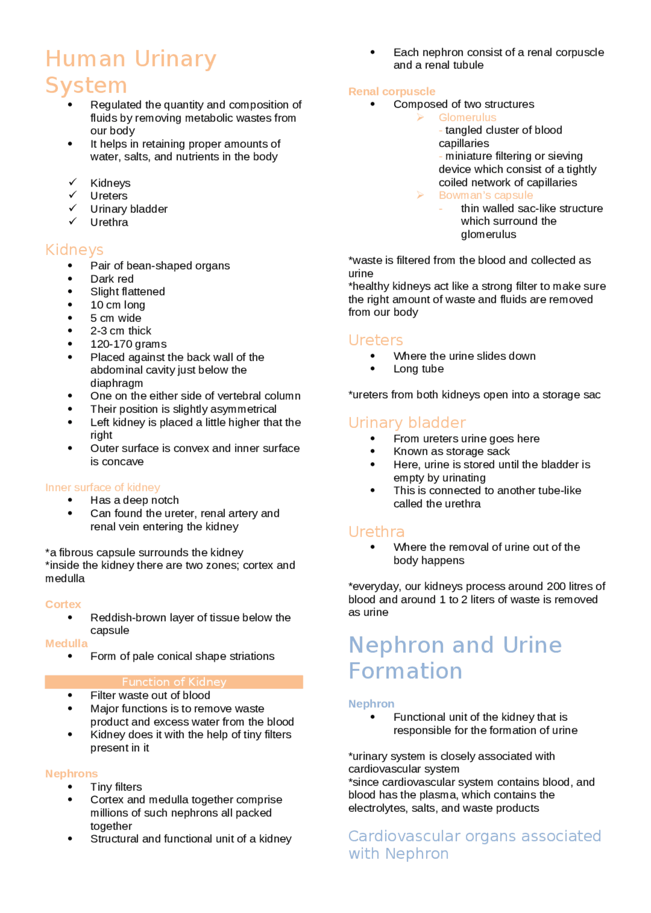 Anatomy And Physiology Docsity
