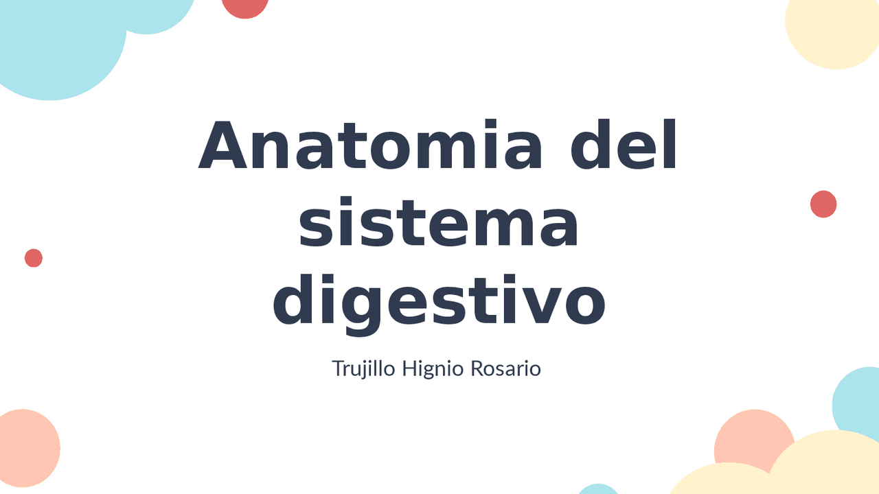 Anatomía Del Sistema Digestivo Docsity