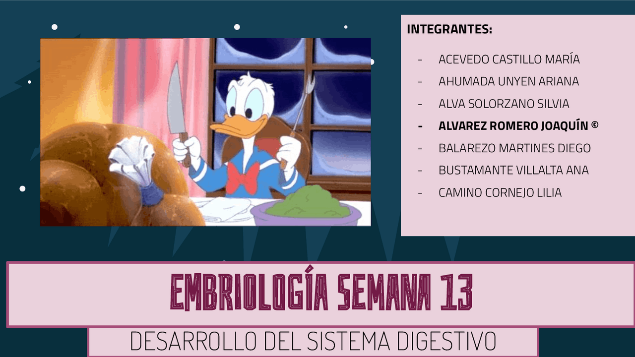 Embriología Semana 13 Docsity