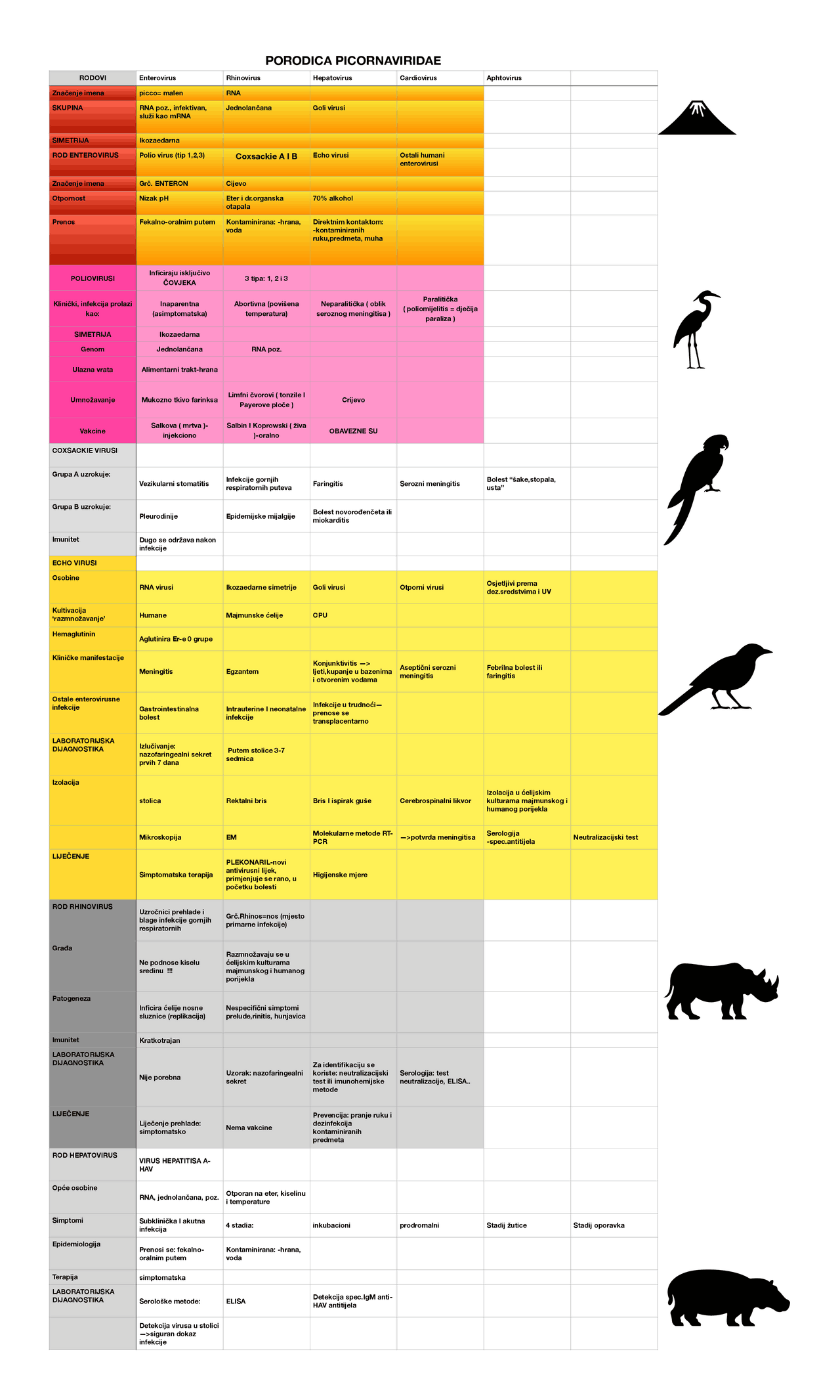 Porodica Picornaviridae Beleške Predlog Mikrobiologija Docsity