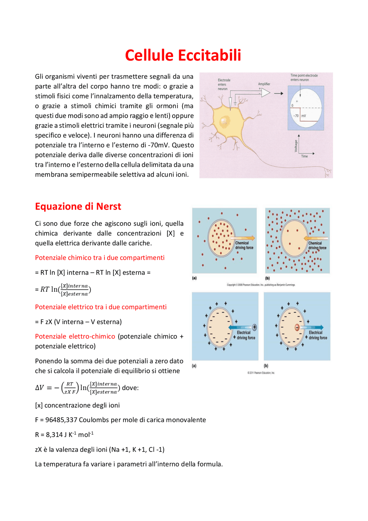 Le Cellule Eccitabili Docsity