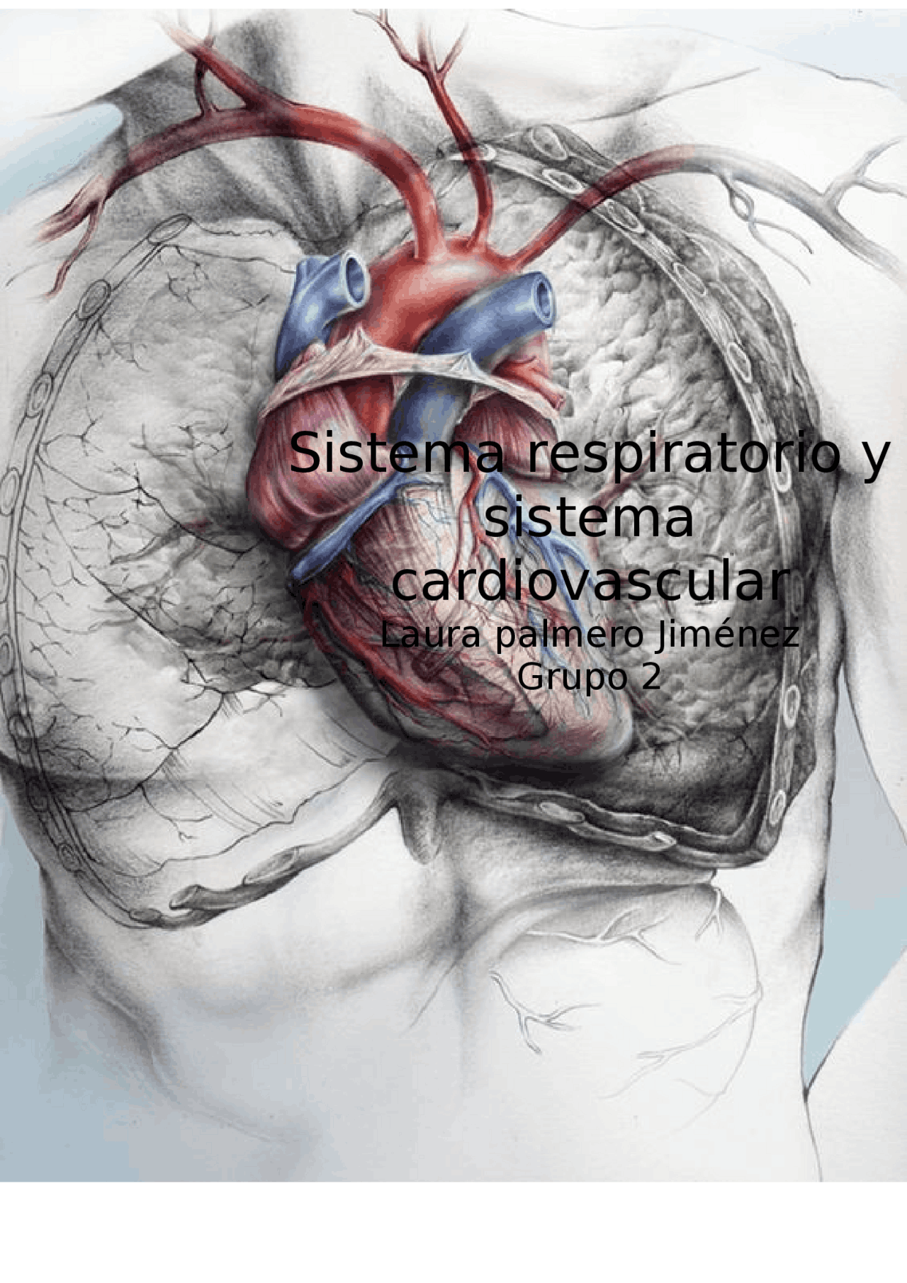 Sistema Cardiovascular Apuntes De Anatomía Aplicada Docsity