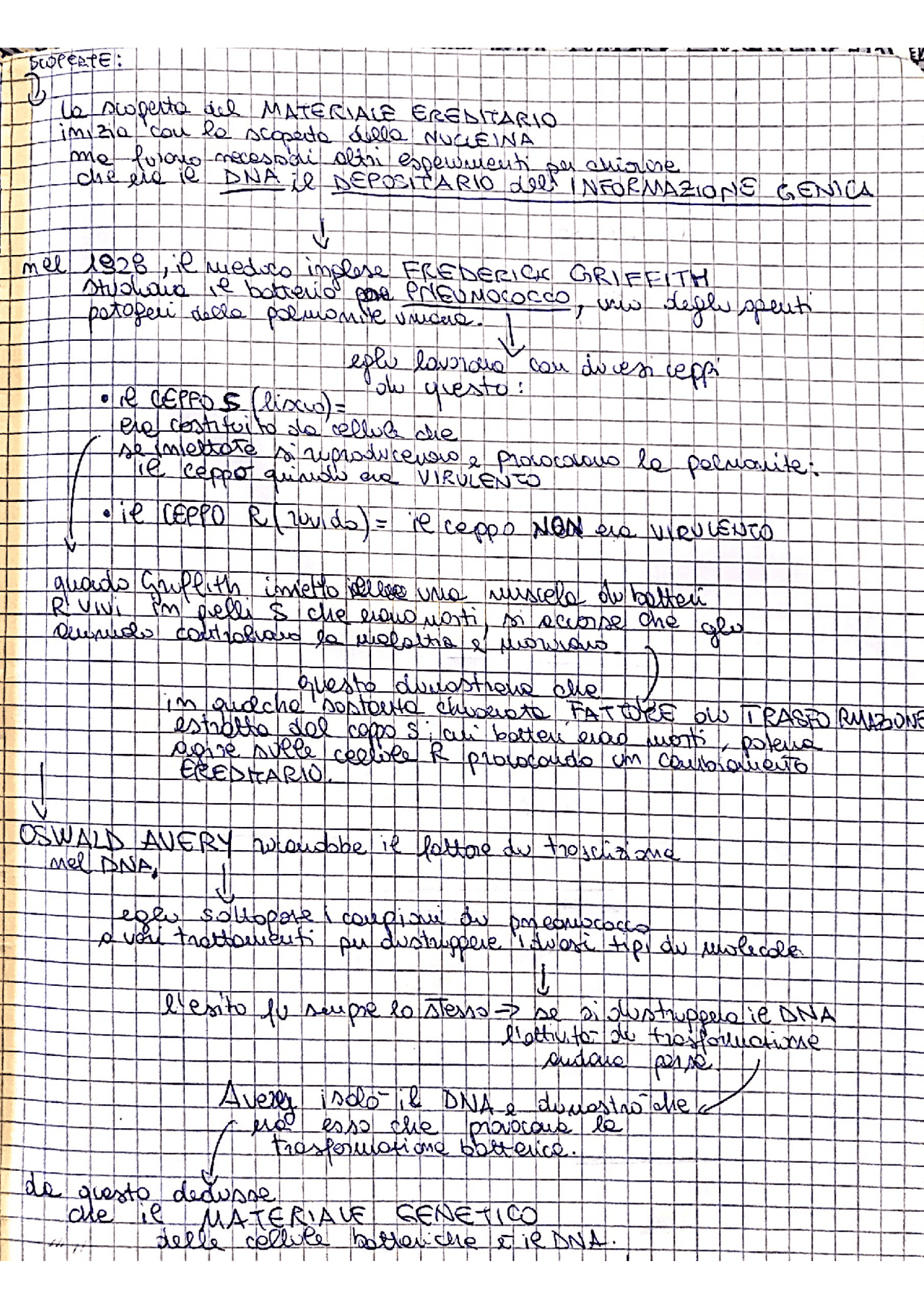 La Scoperta Del Dna Docsity
