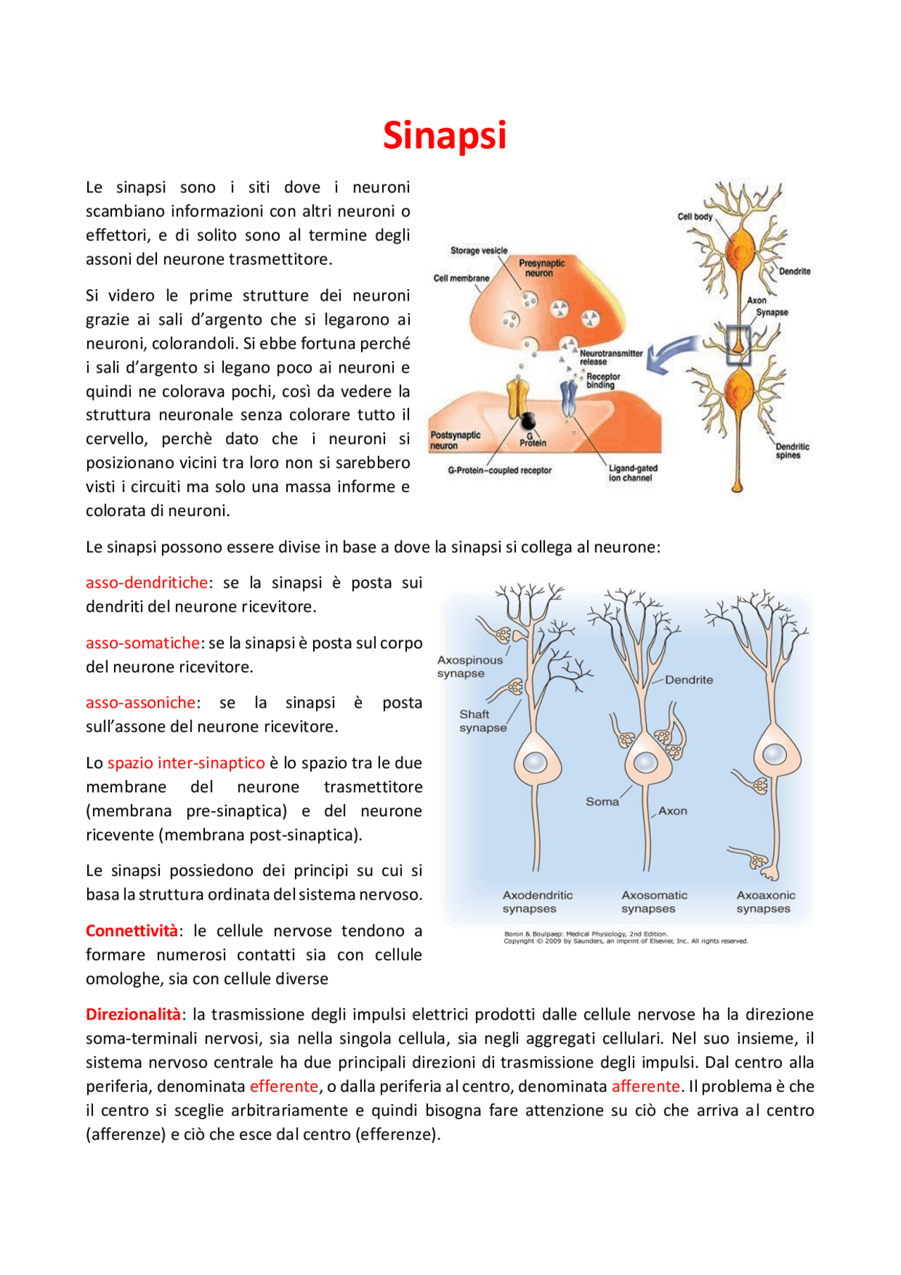 Le Sinapsi (capitolo 3) - Docsity