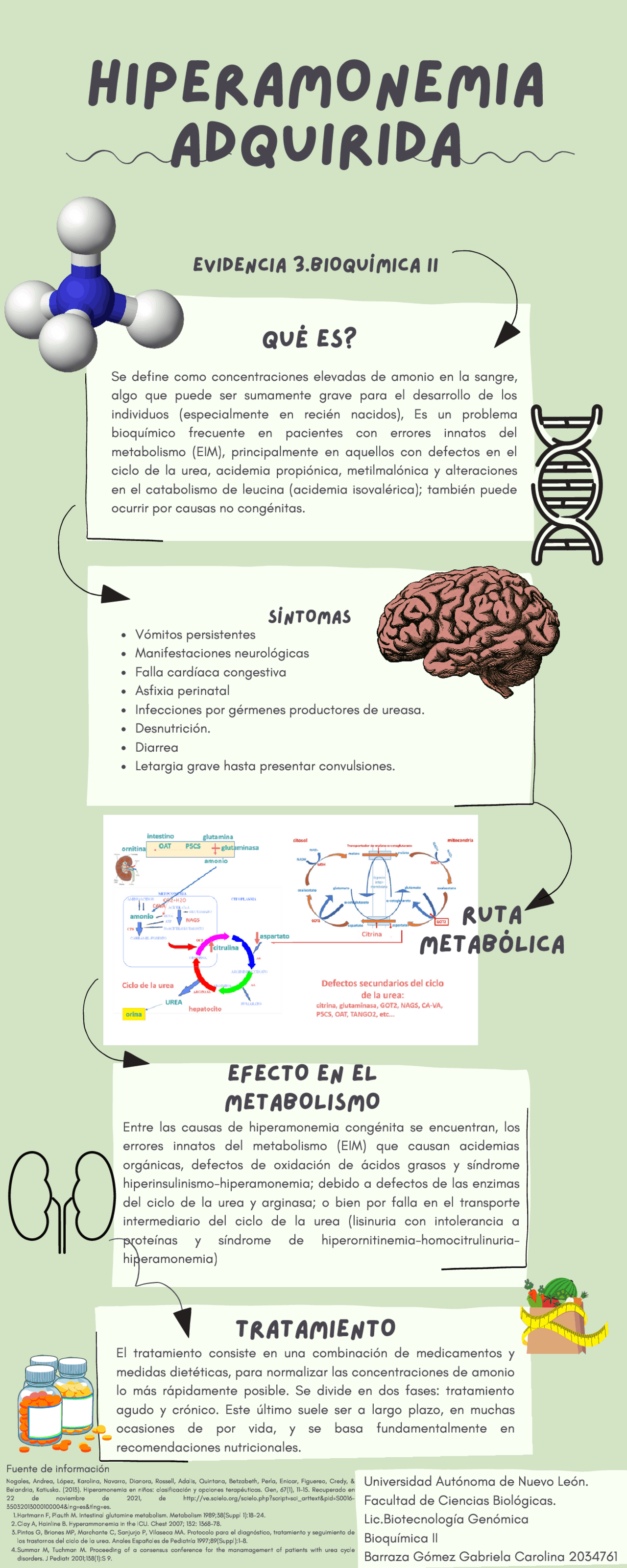 EVIDENCIA HIPERAMONEMIA - Docsity