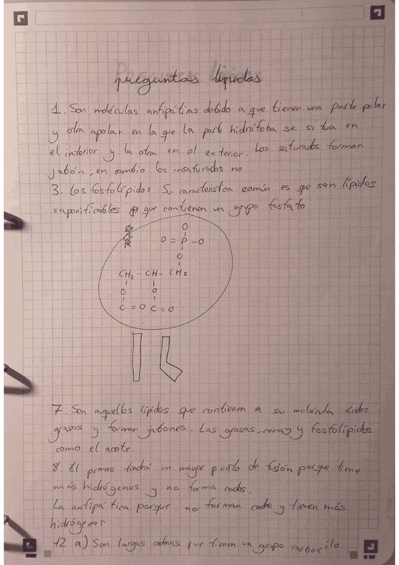 Ejercicios Lípidos Biología 1º Bachillerato Docsity