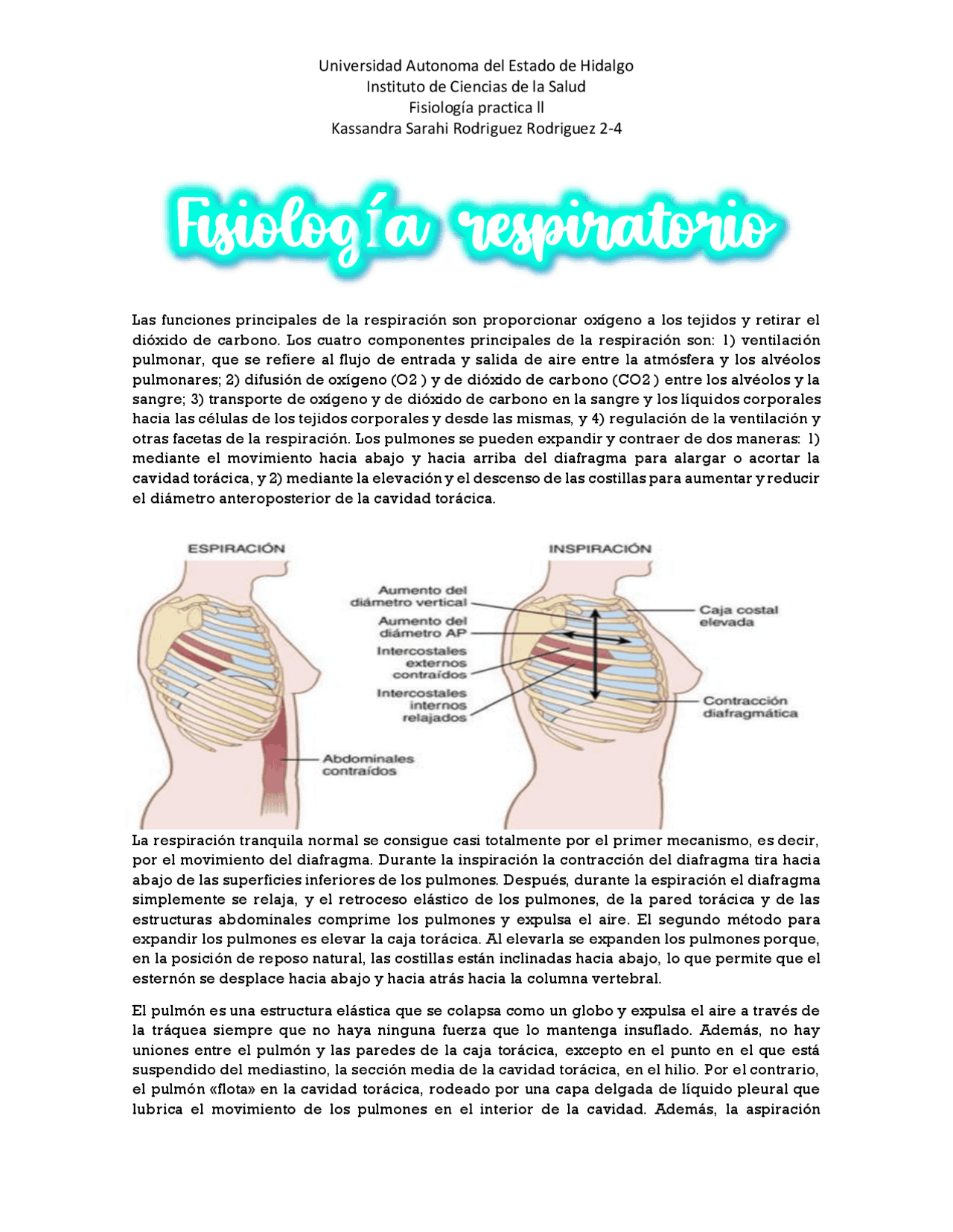 Resumen fisiologia respiratorio de guyton - Docsity