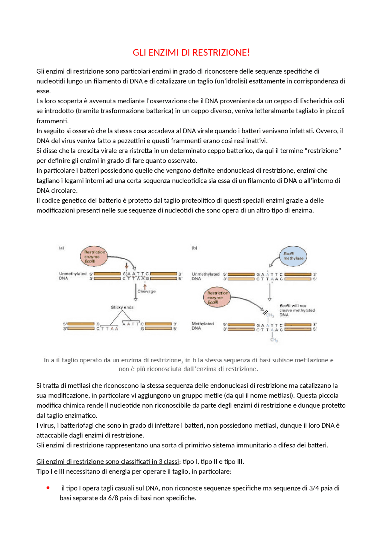 Enzimi Di Restrizioni Bio Docsity