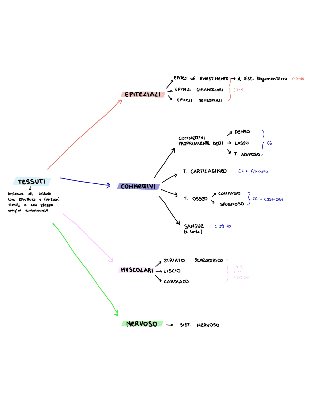 Mappa Tessuti Biologia Docsity