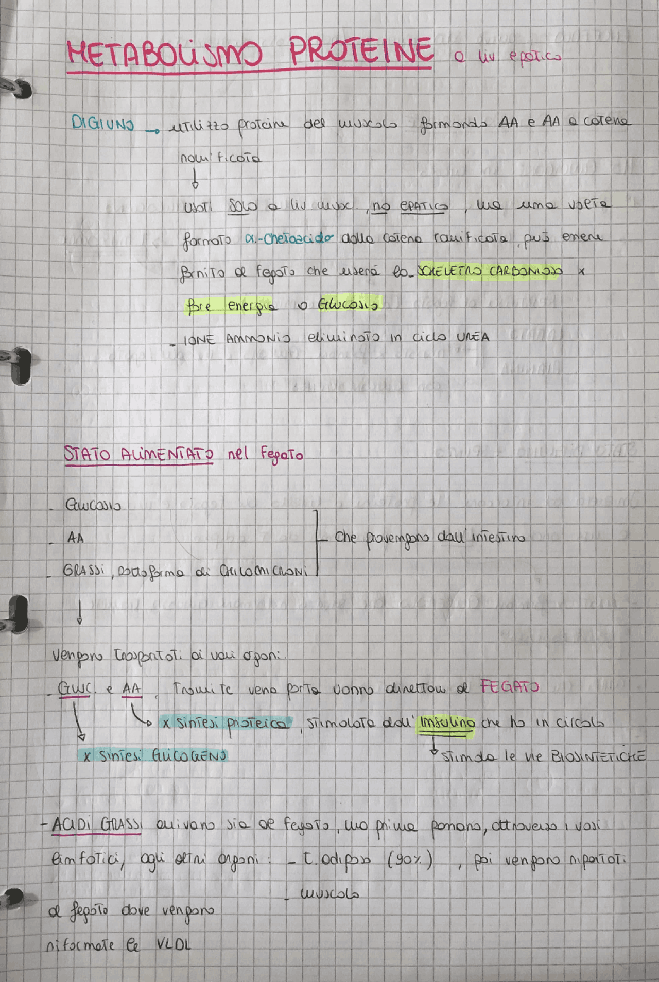 Metabolismo Proteine Appunti Di Lezione Docsity