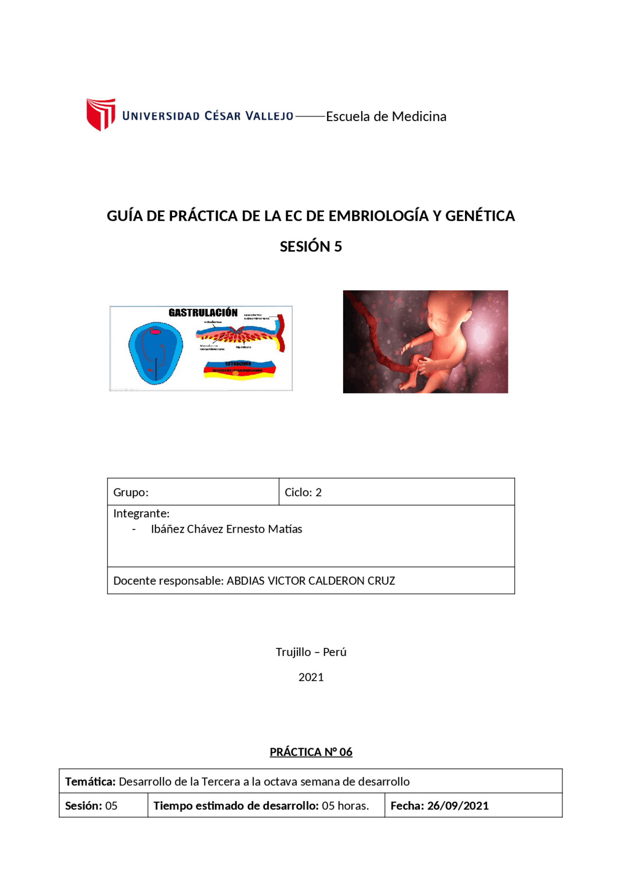 Guía Practica N°5 De Embriología Y Genética Docsity