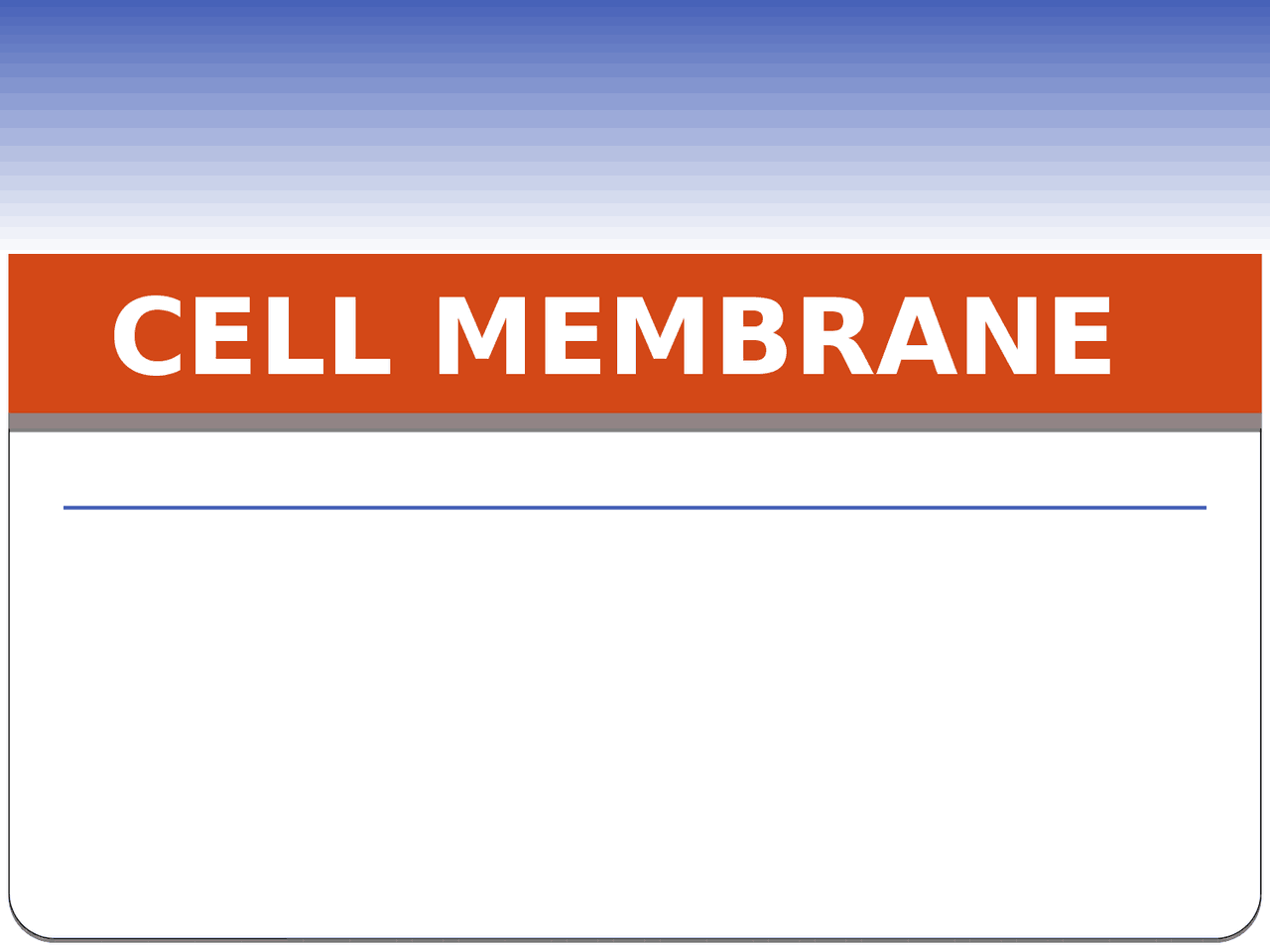 Cell Membrane And Its Functions Docsity