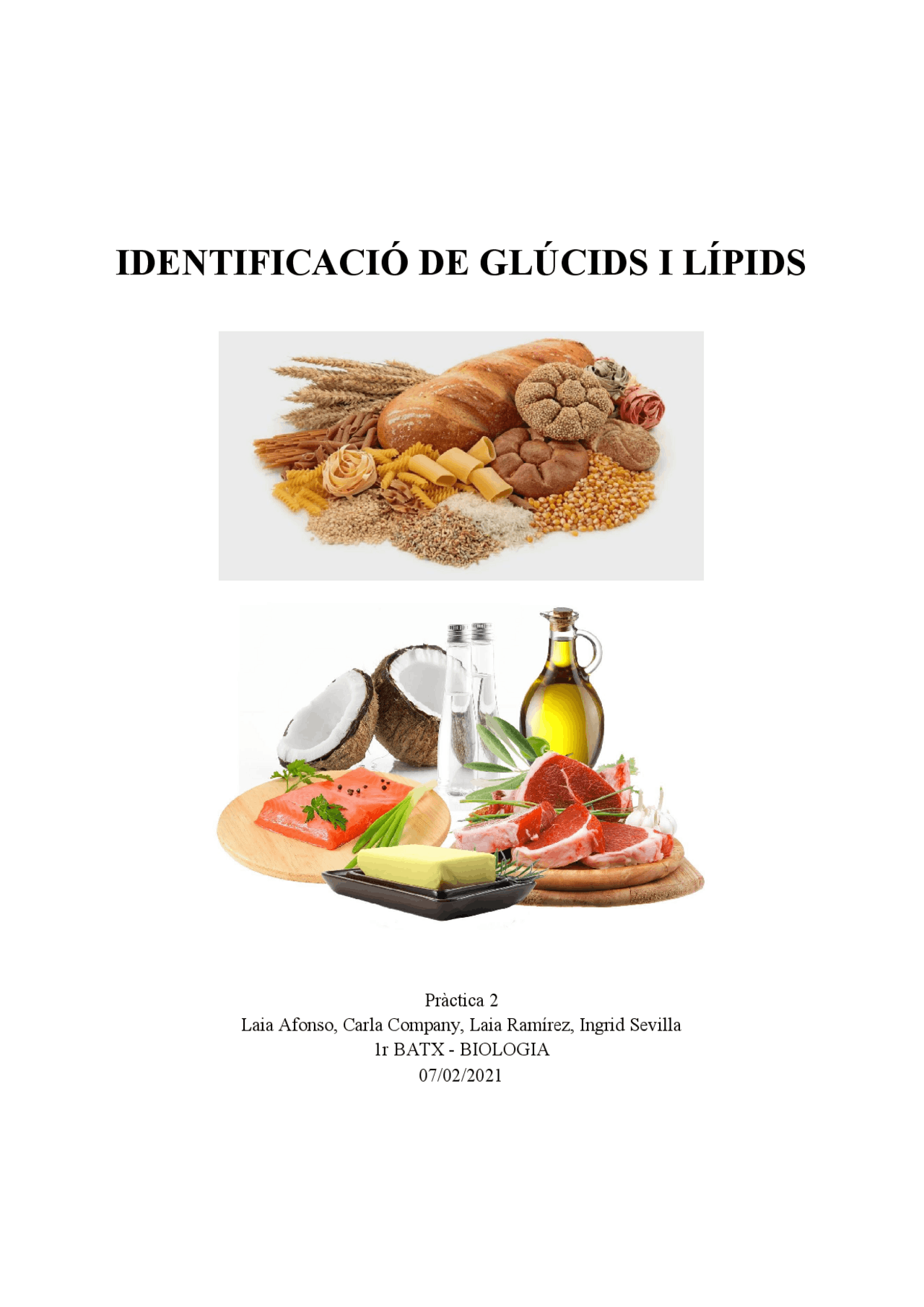 Pràctica Bilogía Glúcids I Lípids Docsity