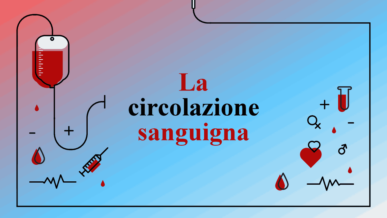 Apparato Cardiocircolatorio Docsity