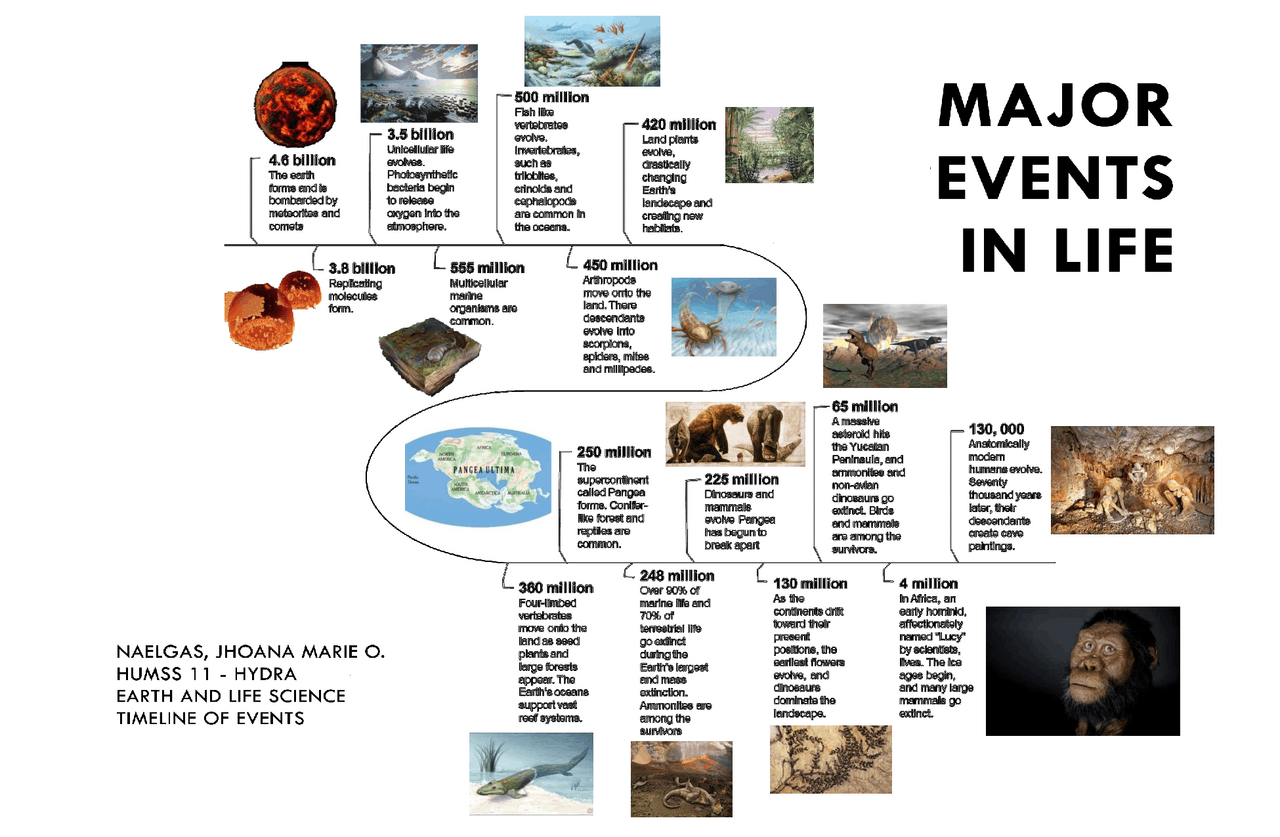 Timeline of events in earth science subject - Docsity