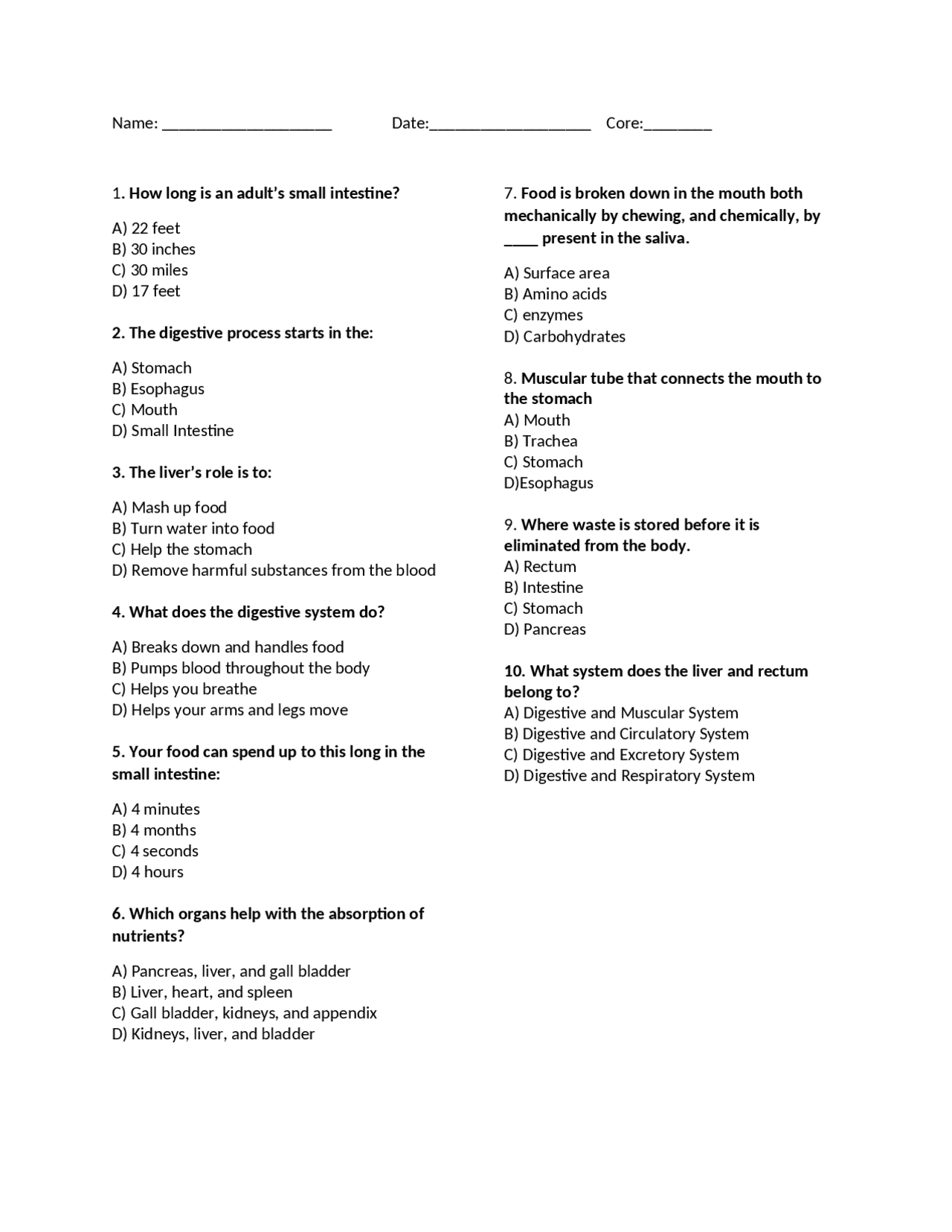 The Human Body System - Docsity