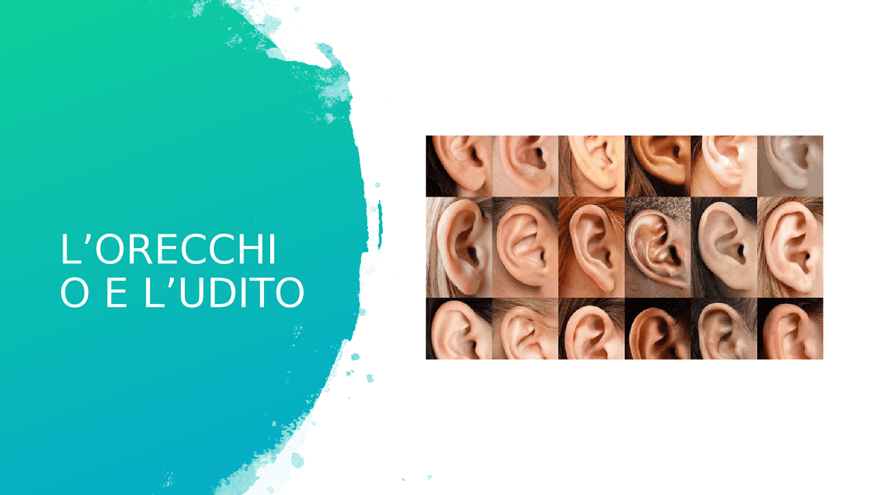 L'orecchio-descrizione e in cosa è suddiviso - Docsity